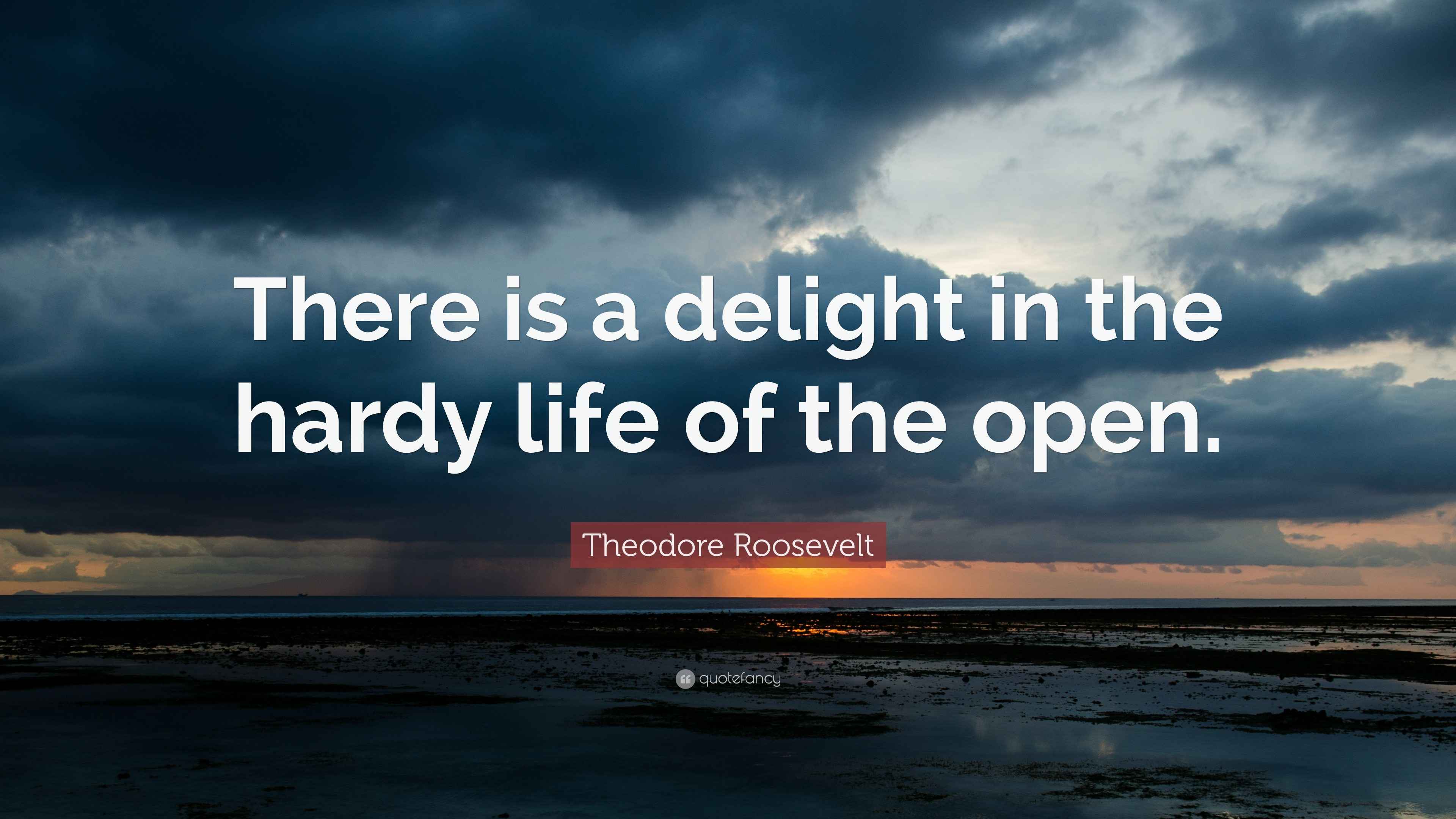 Theodore Roosevelt Quote: “There is a delight in the hardy life of the ...