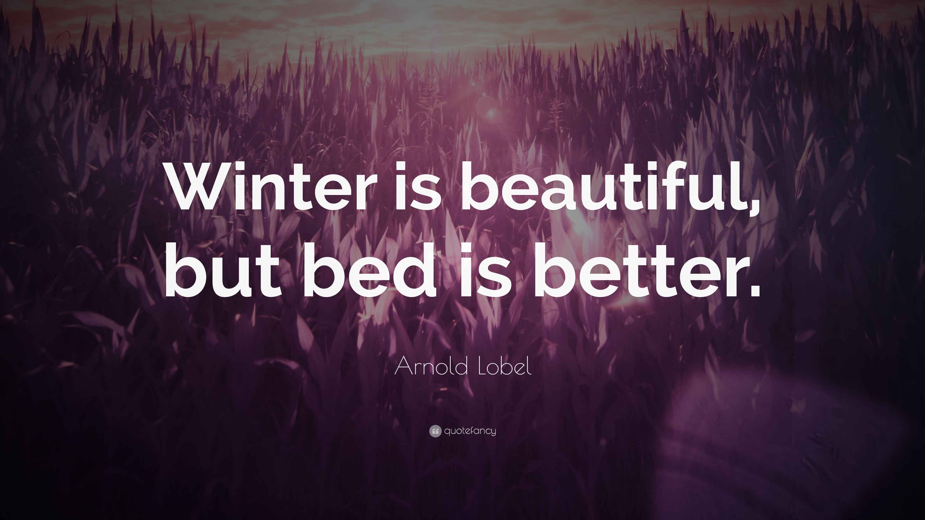 Arnold Lobel Quote: “Winter is beautiful, but bed is better.”