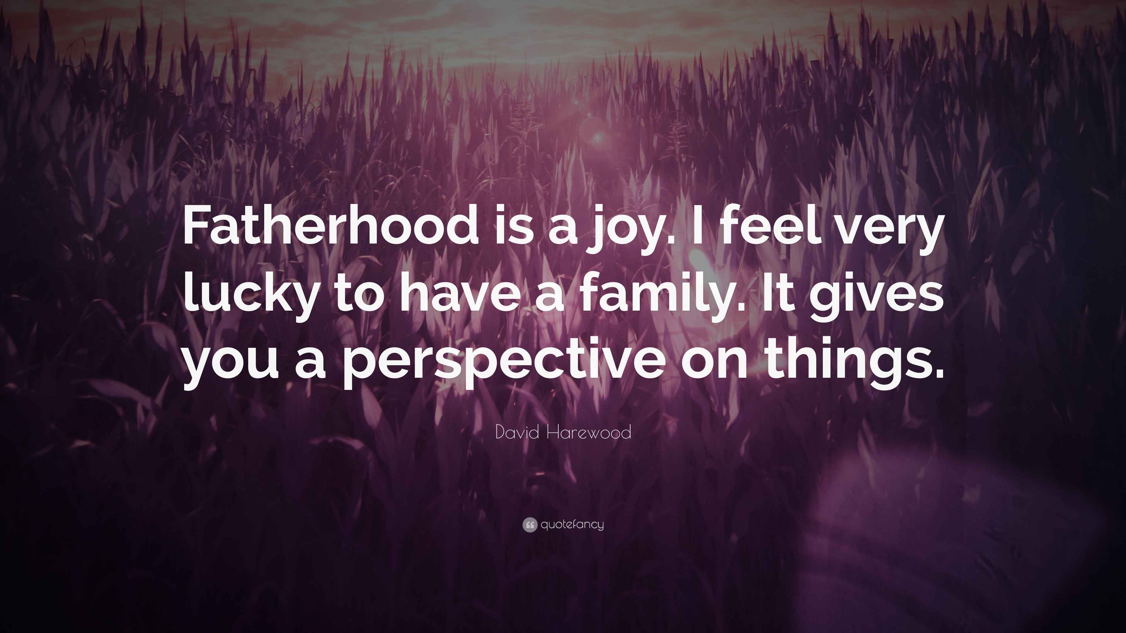 David Harewood Quote: “Fatherhood is a joy. I feel very lucky to have a ...