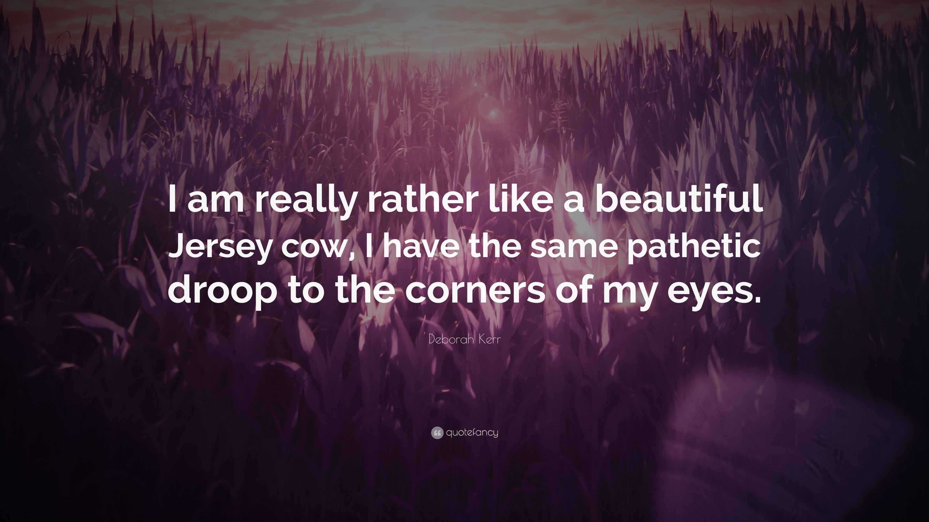 Deborah Kerr Quote: “I am really rather like a beautiful Jersey cow, I ...