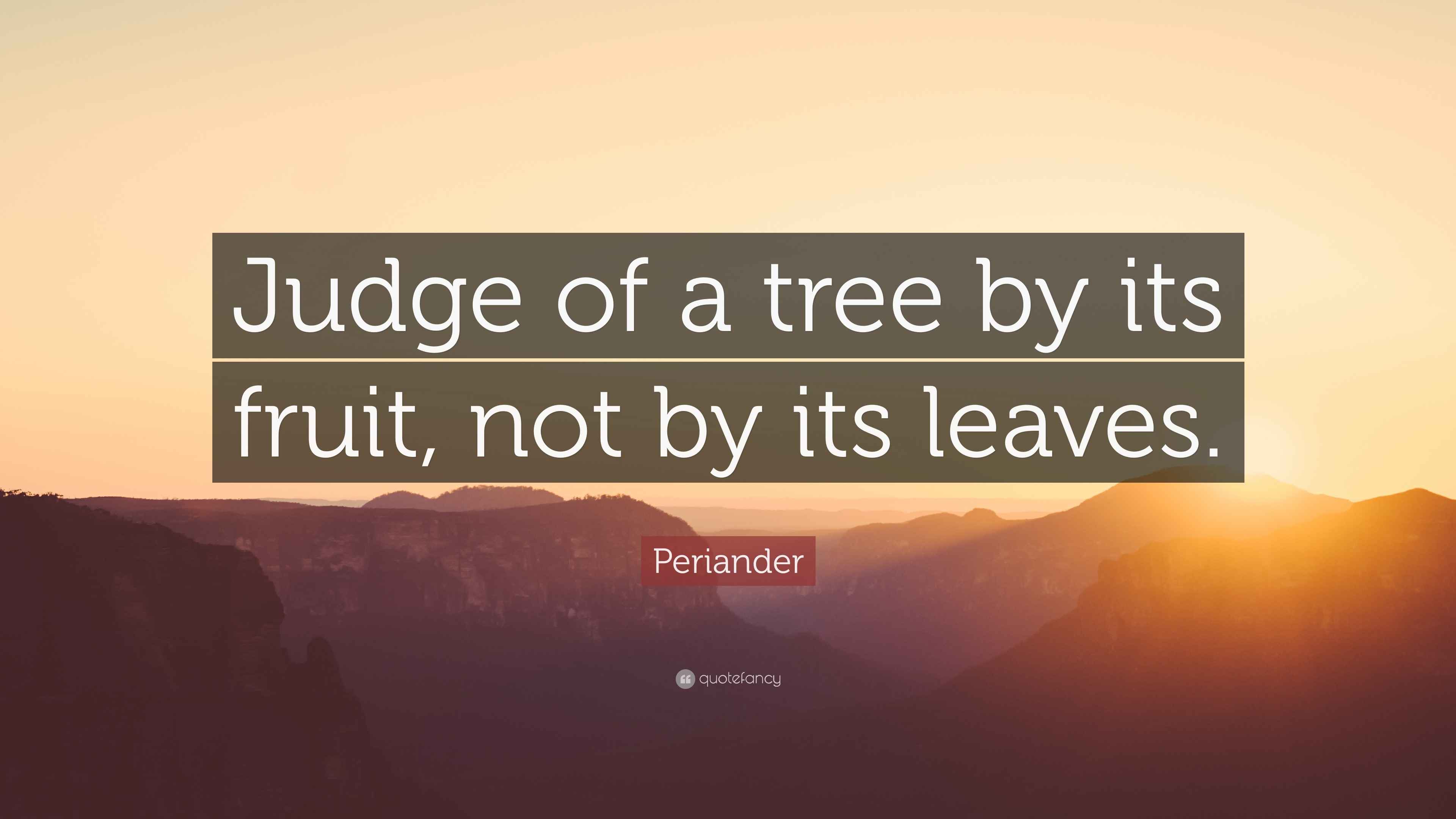 Periander Quote: “Judge of a tree by its fruit, not by its leaves.”