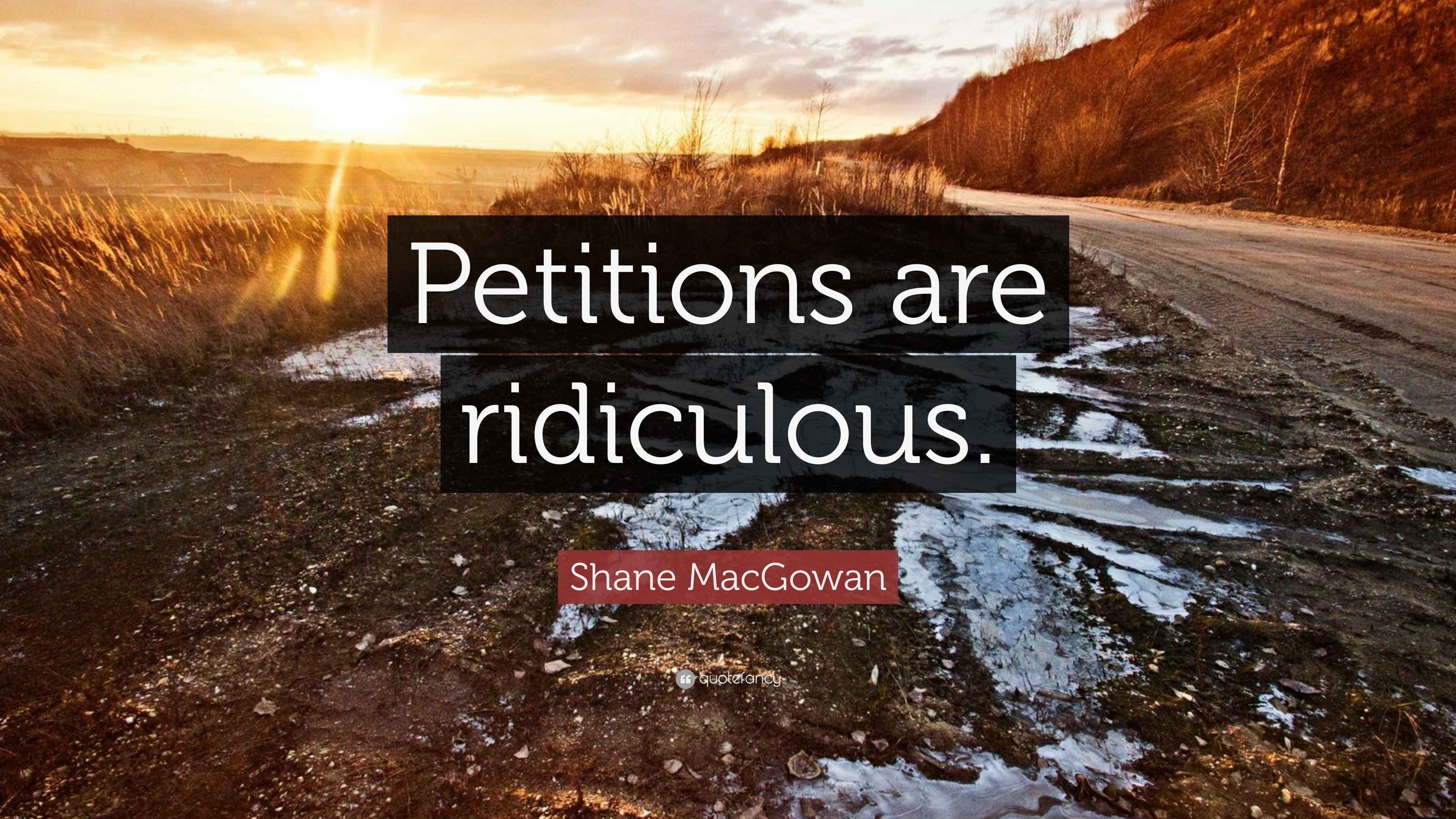 Shane MacGowan Quote: “Petitions are ridiculous.”