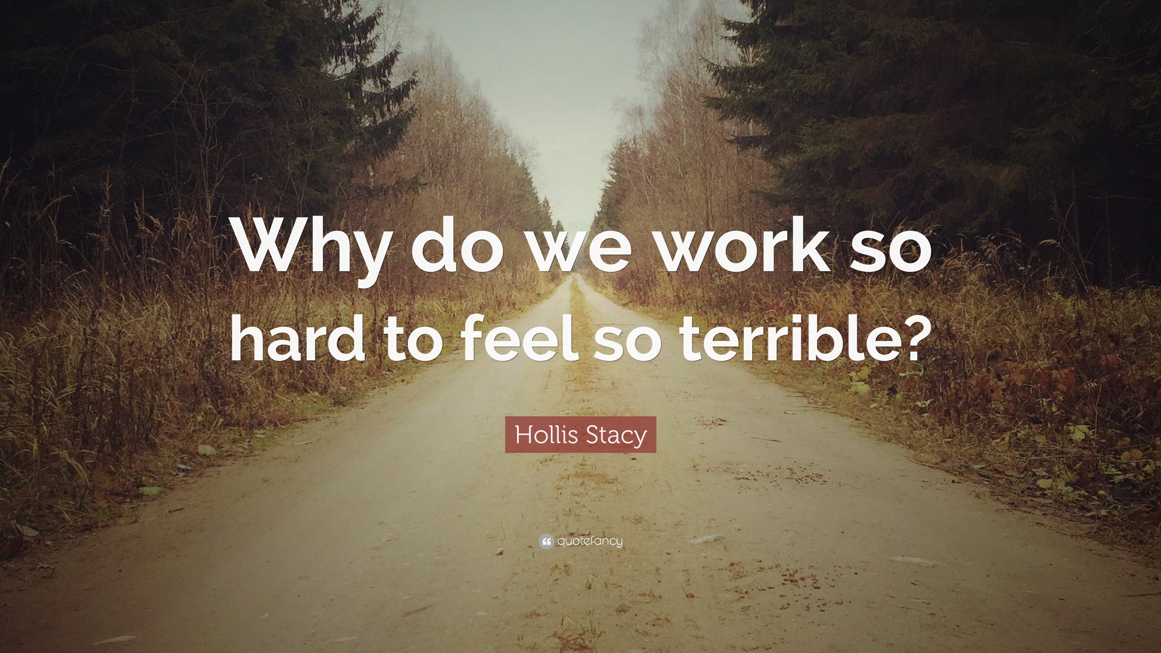 Hollis Stacy Quote: “Why do we work so hard to feel so terrible?”