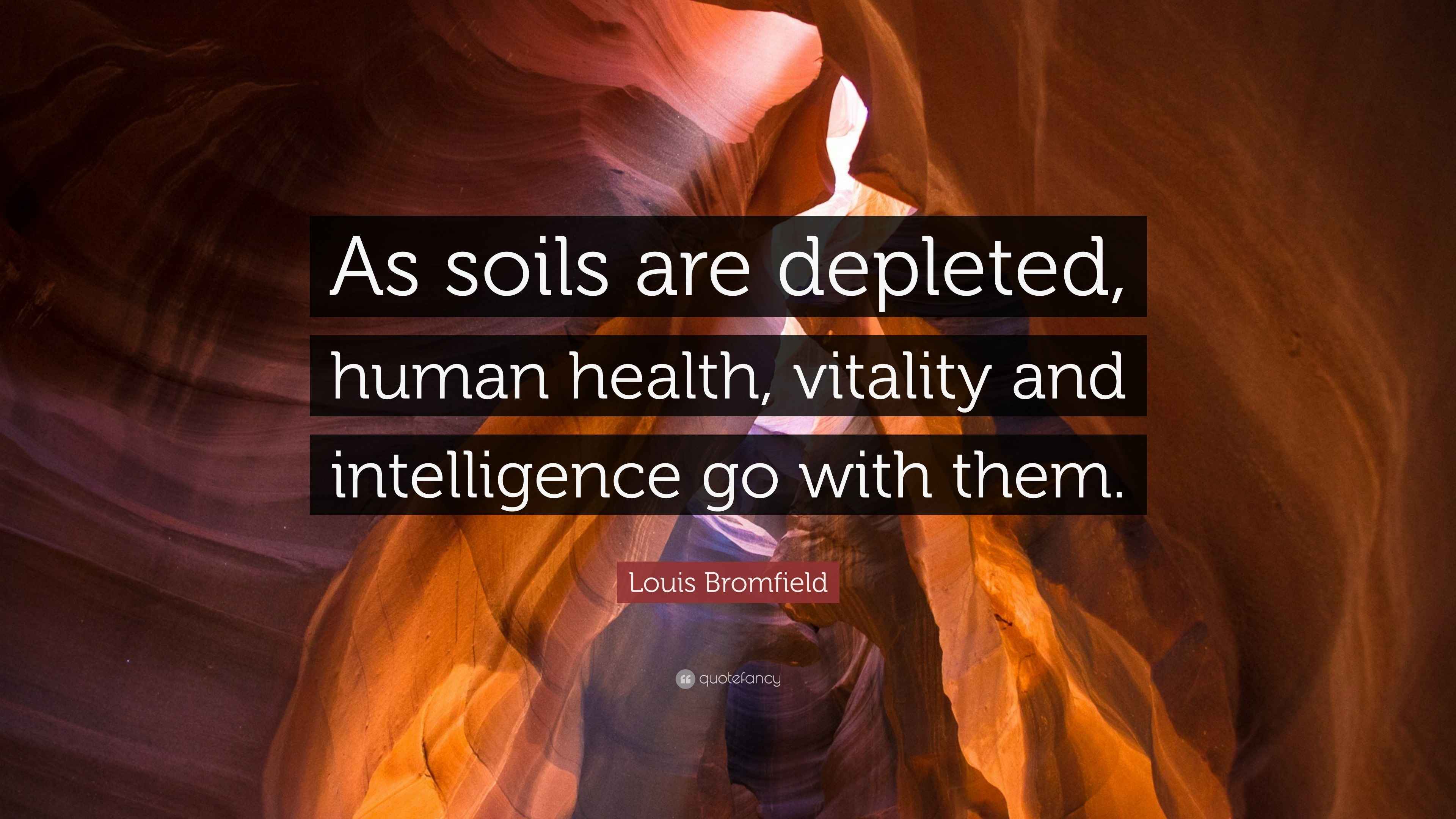 Louis Bromfield Quote: “As soils are depleted, human health, vitality ...