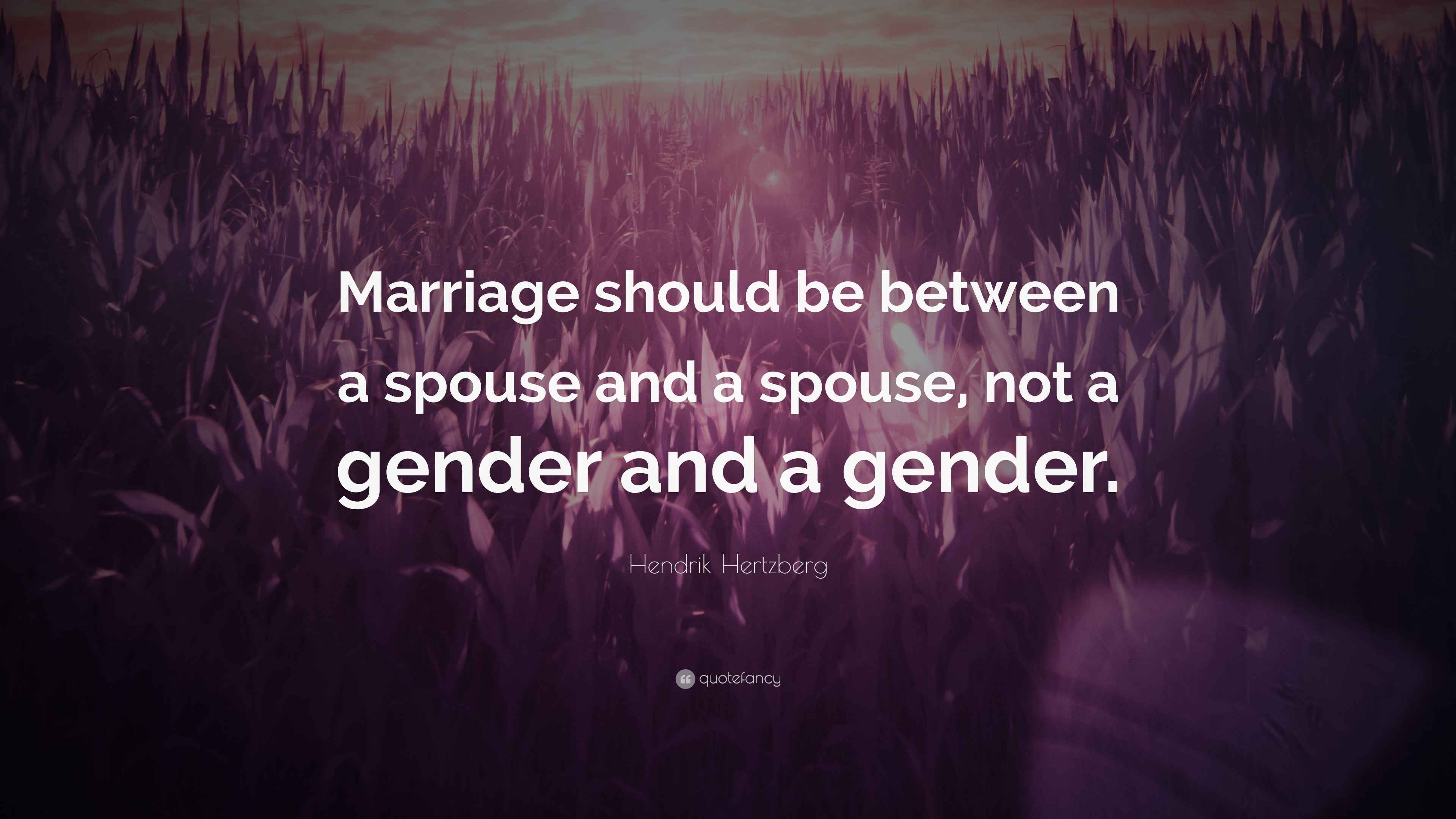 Hendrik Hertzberg Quote: “Marriage should be between a spouse and a ...