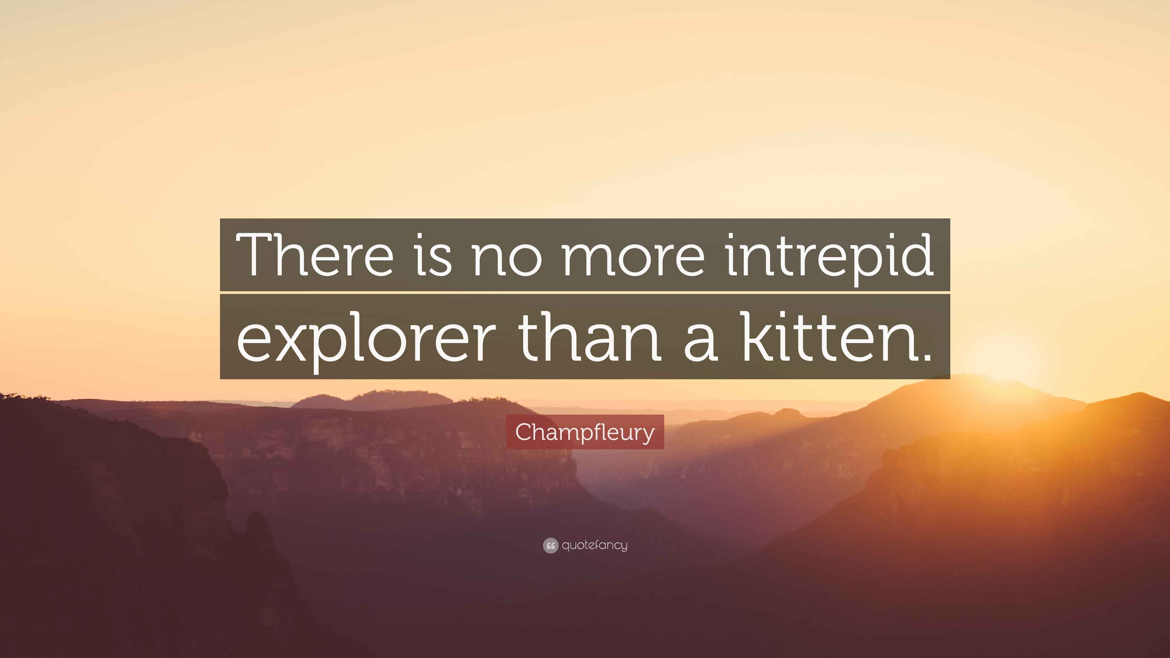 Champfleury Quote: “There is no more intrepid explorer than a kitten.”