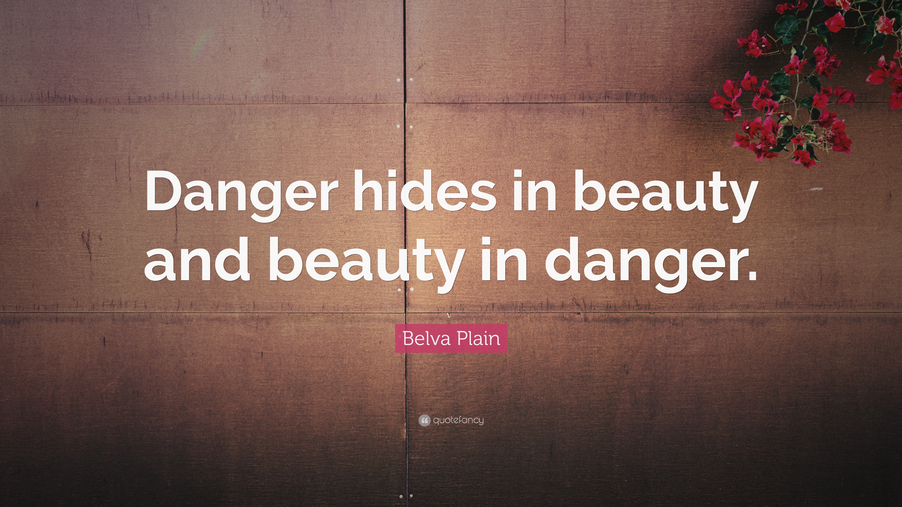 Belva Plain Quote: “Danger hides in beauty and beauty in danger.”