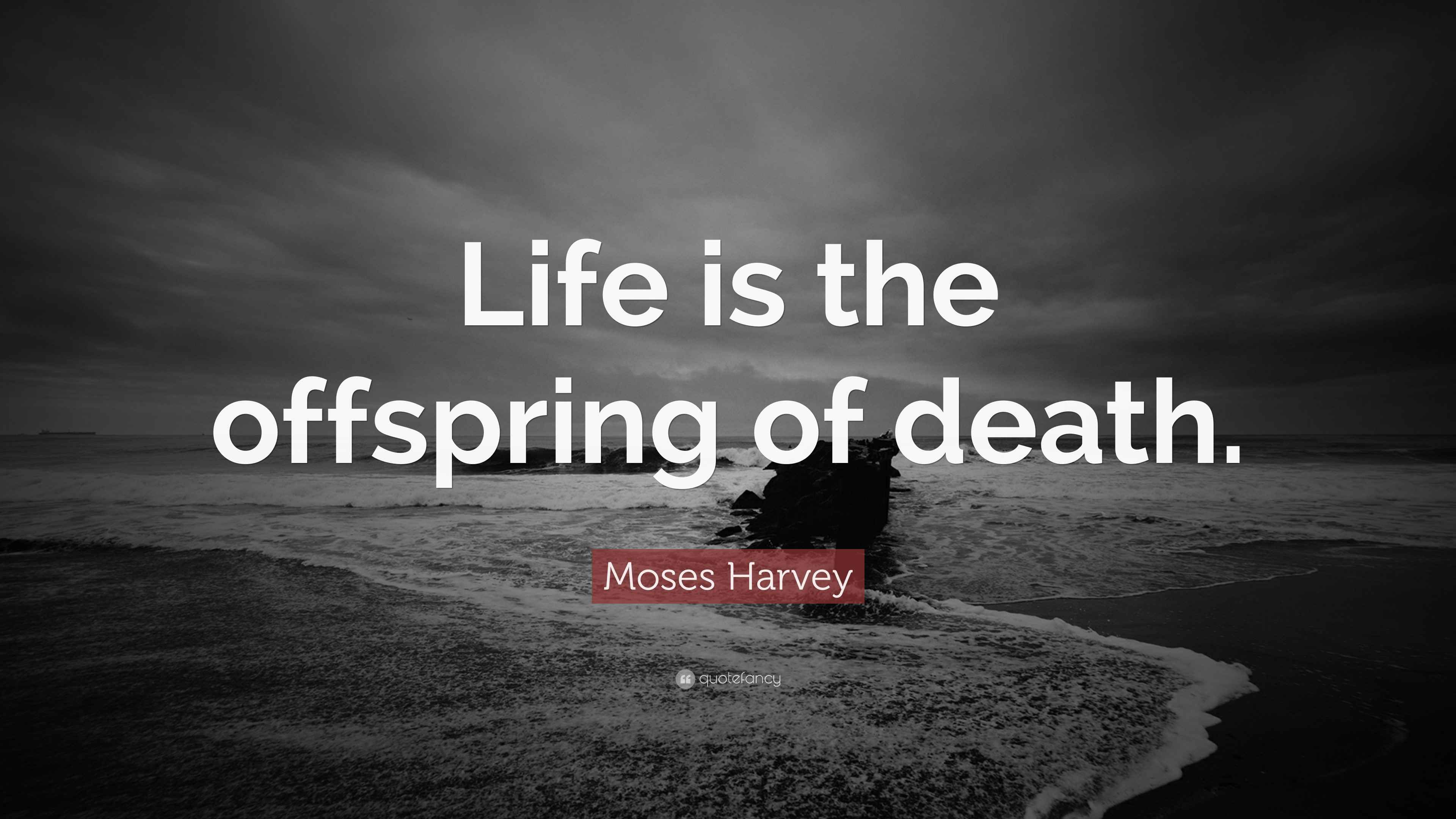 Moses Harvey Quote: “Life is the offspring of death.”