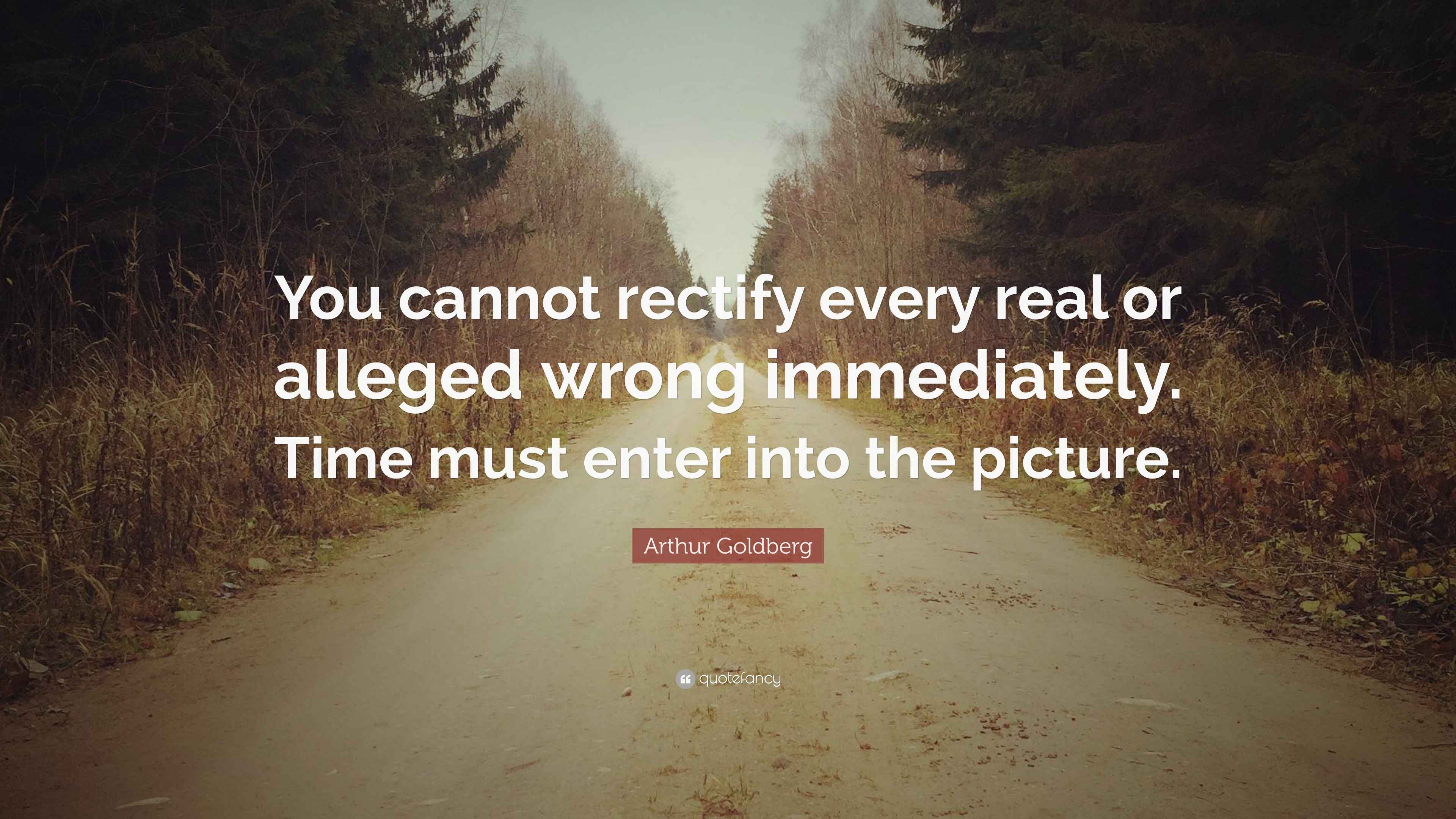 Arthur Goldberg Quote: “You cannot rectify every real or alleged wrong ...