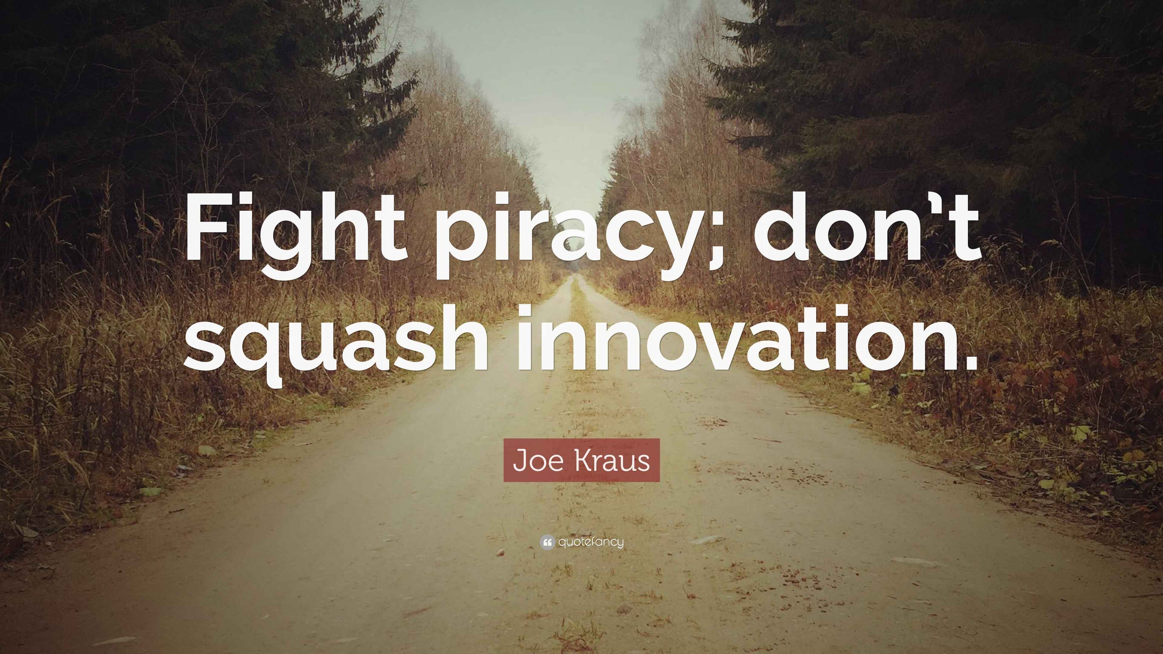 Joe Kraus Quote: “Fight piracy; don’t squash innovation.”