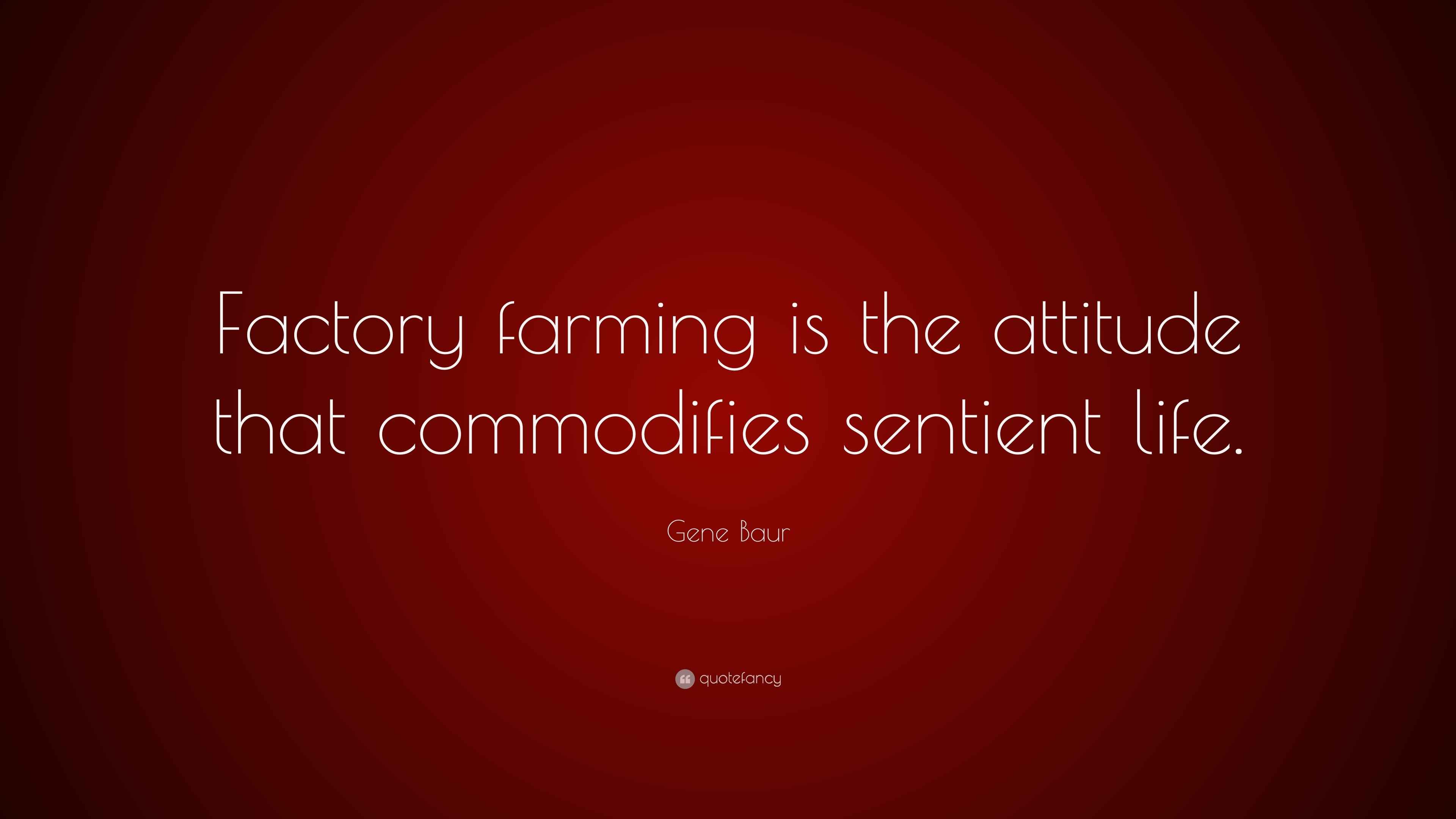 Factory Farm Quotes