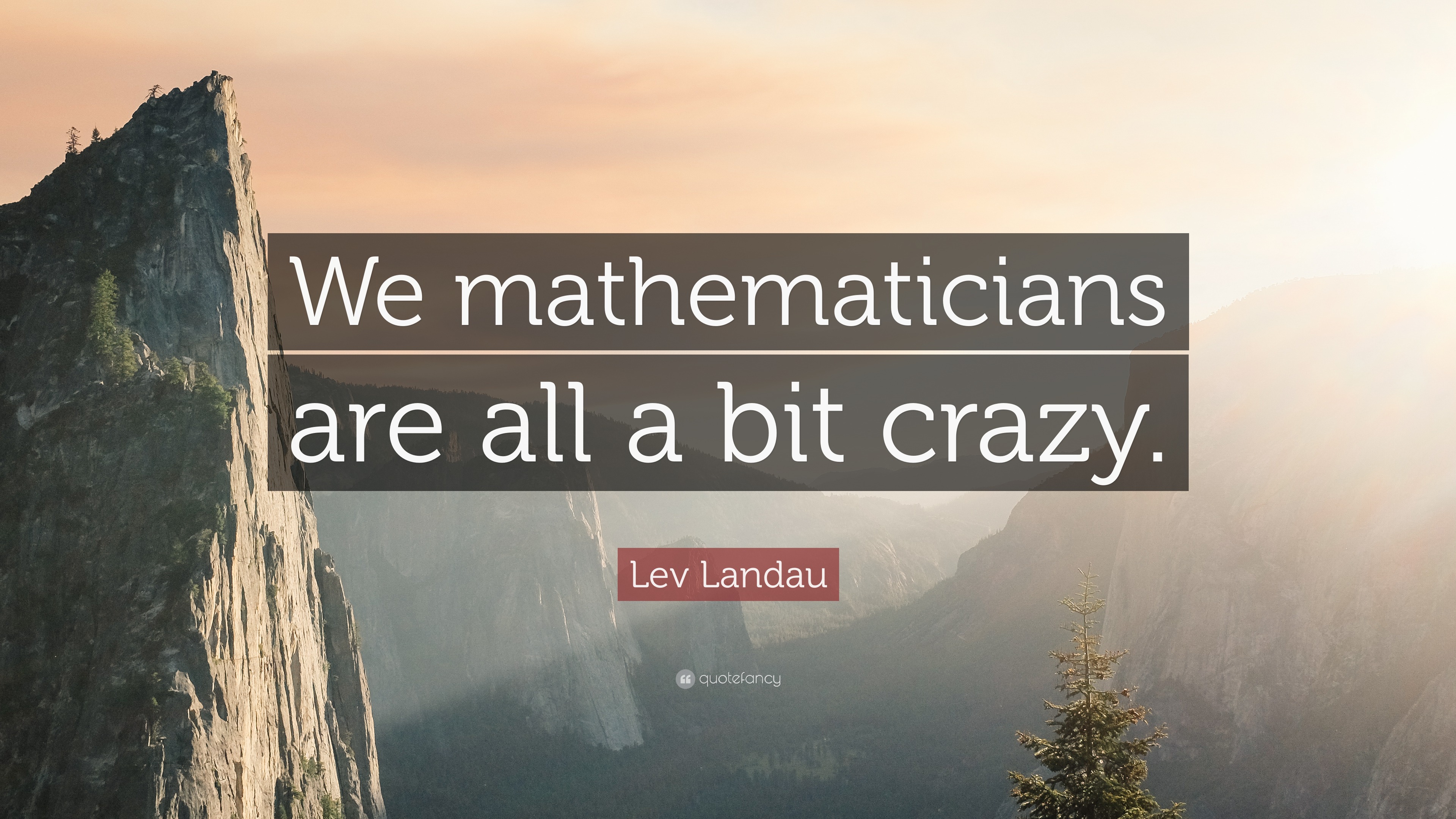 Lev Landau Quote: “We mathematicians are all a bit crazy.”