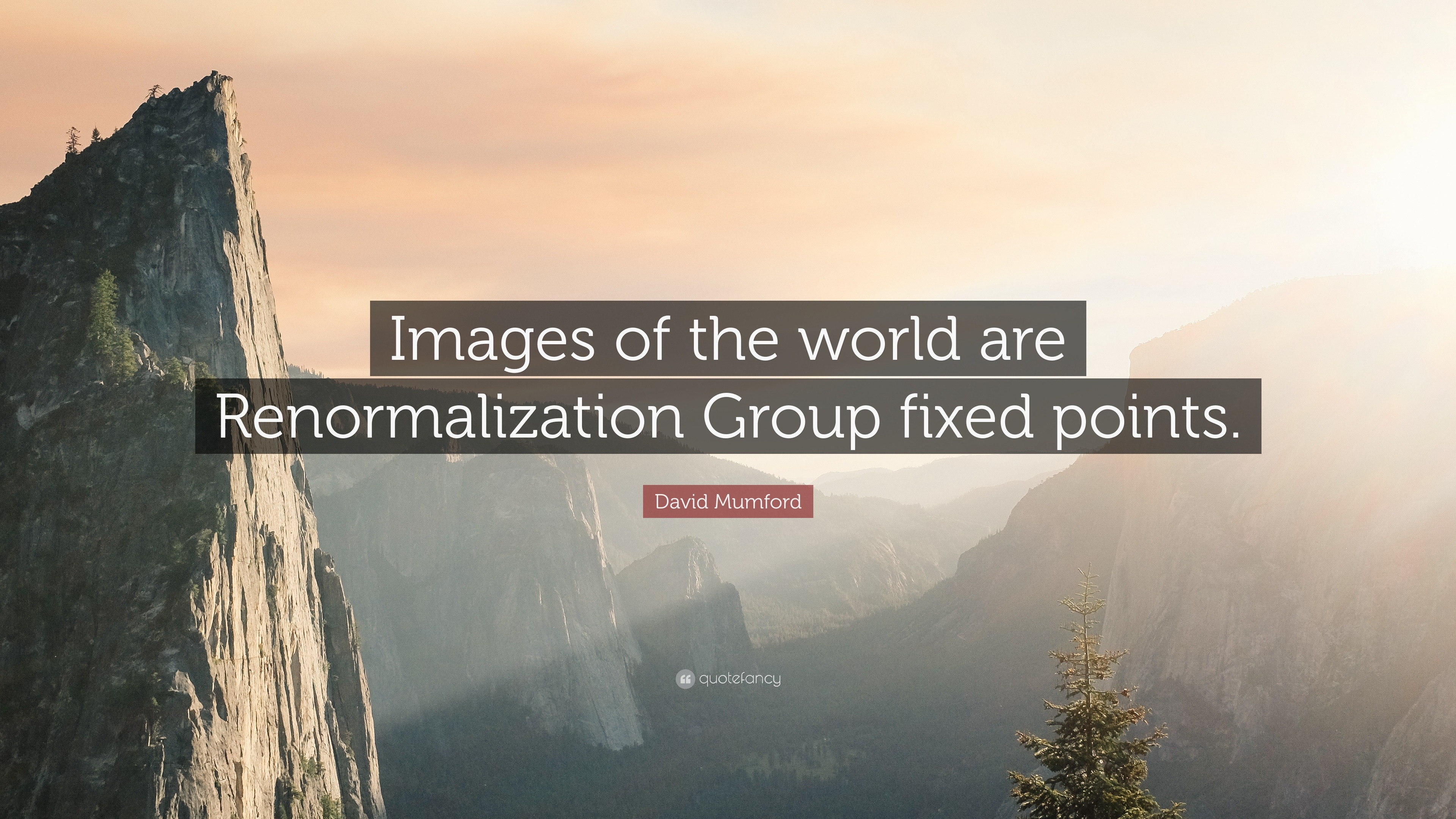 David Mumford Quote: “Images of the world are Renormalization Group ...