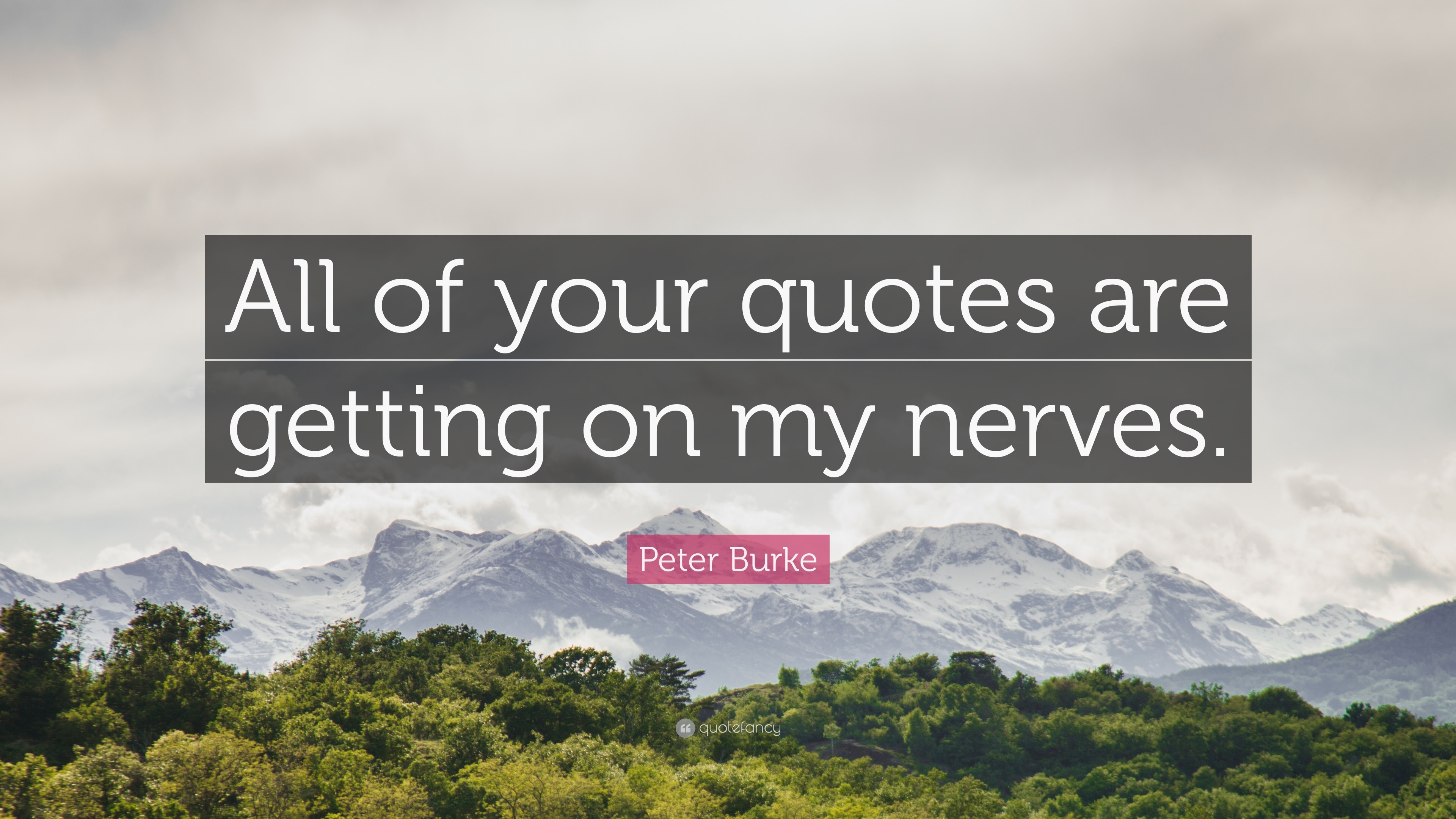 Peter Burke Quote: “All of your quotes are getting on my nerves.”
