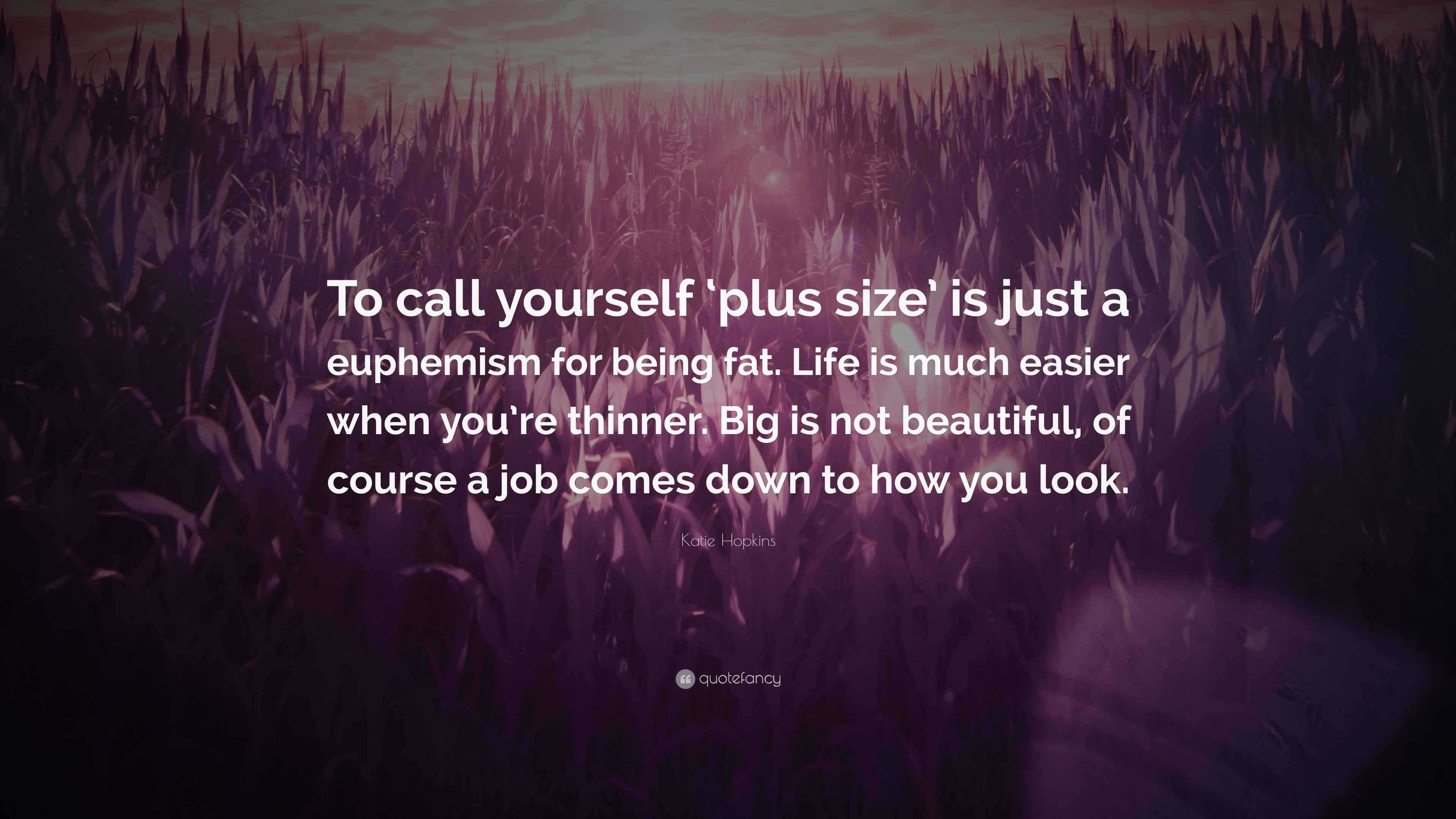 Katie Hopkins Quote: “To call yourself ‘plus size’ is just a euphemism ...