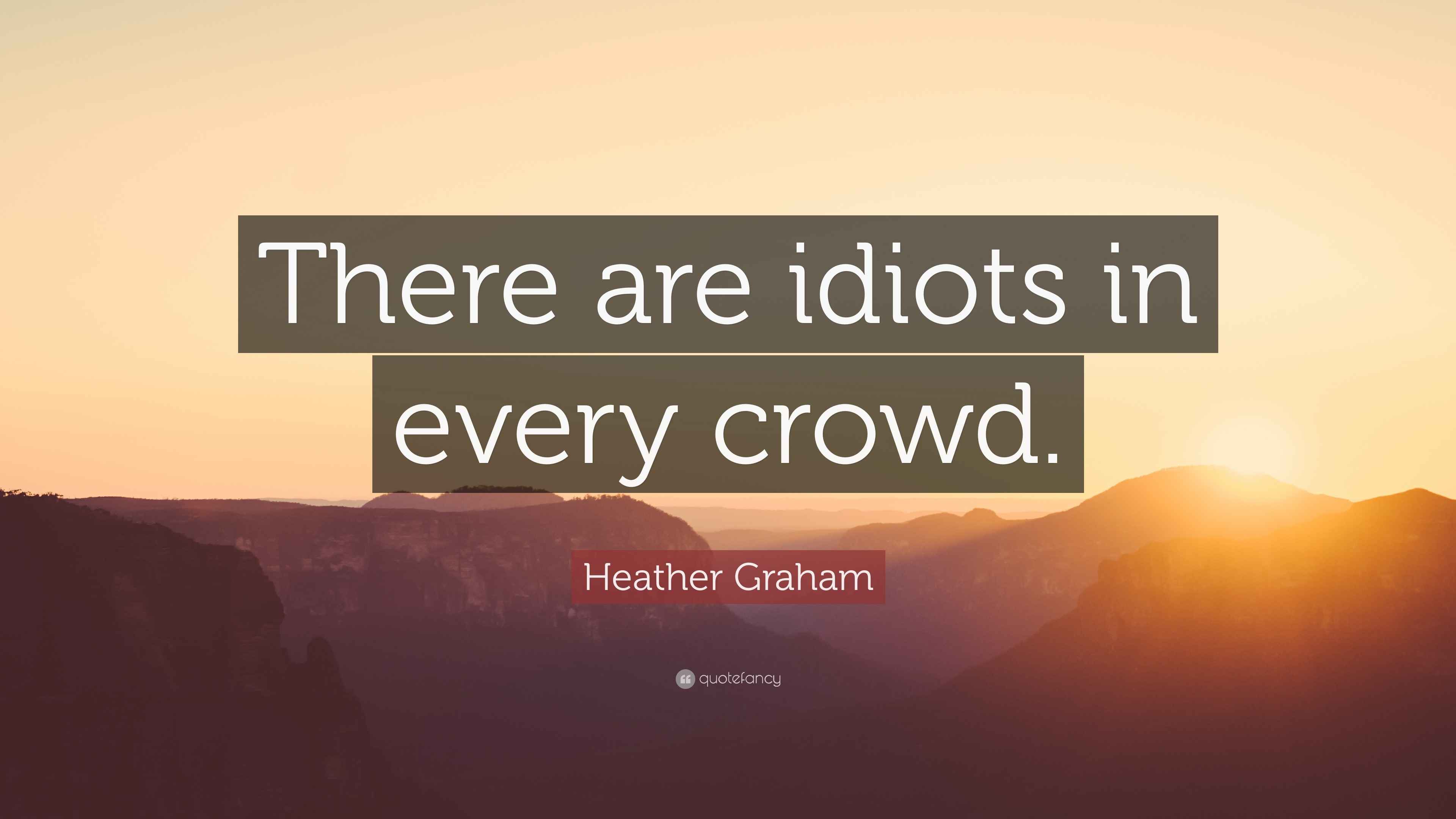 Heather Graham Quote: “There are idiots in every crowd.”