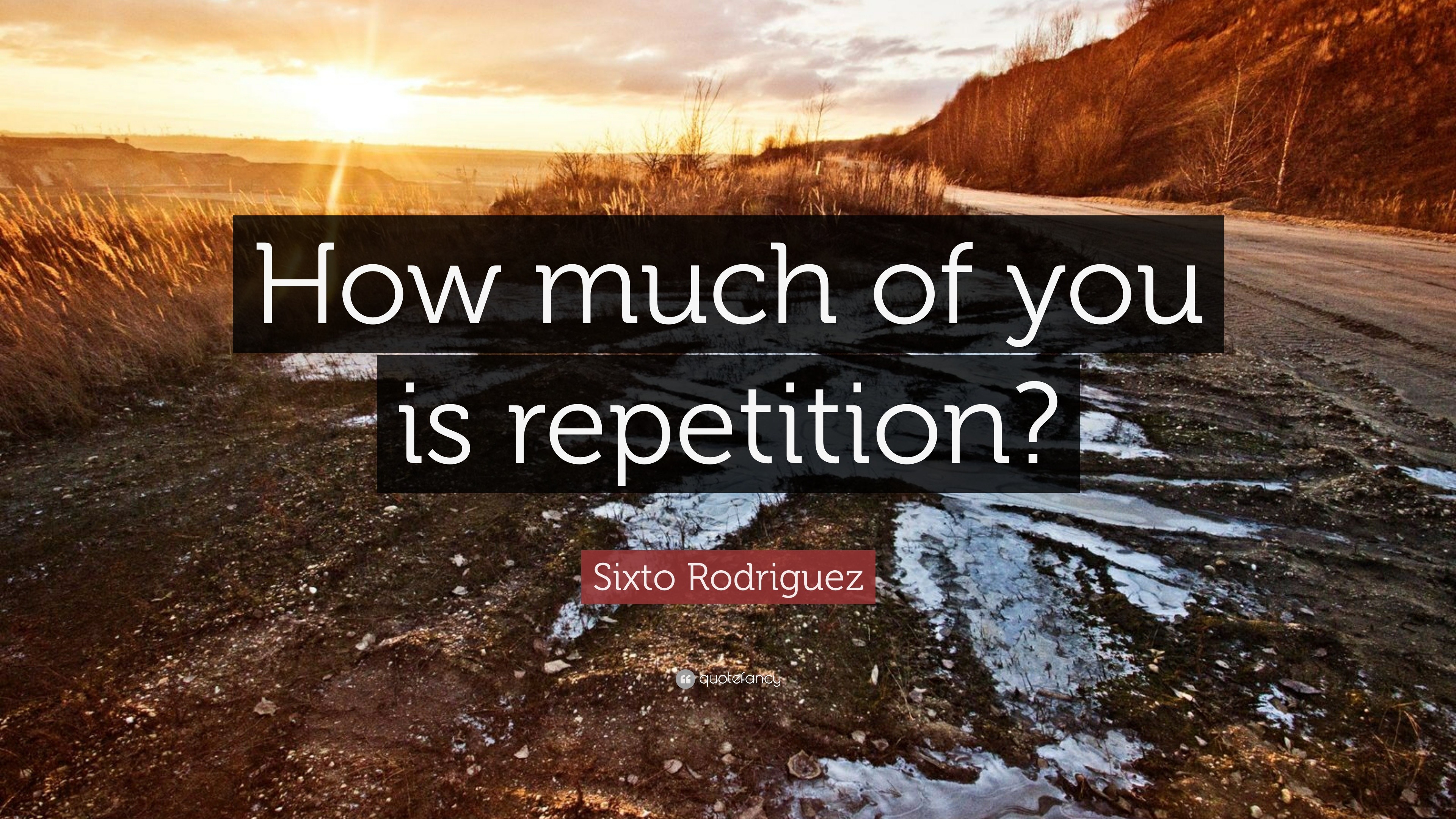 Sixto Rodriguez Quote: “How much of you is repetition?”
