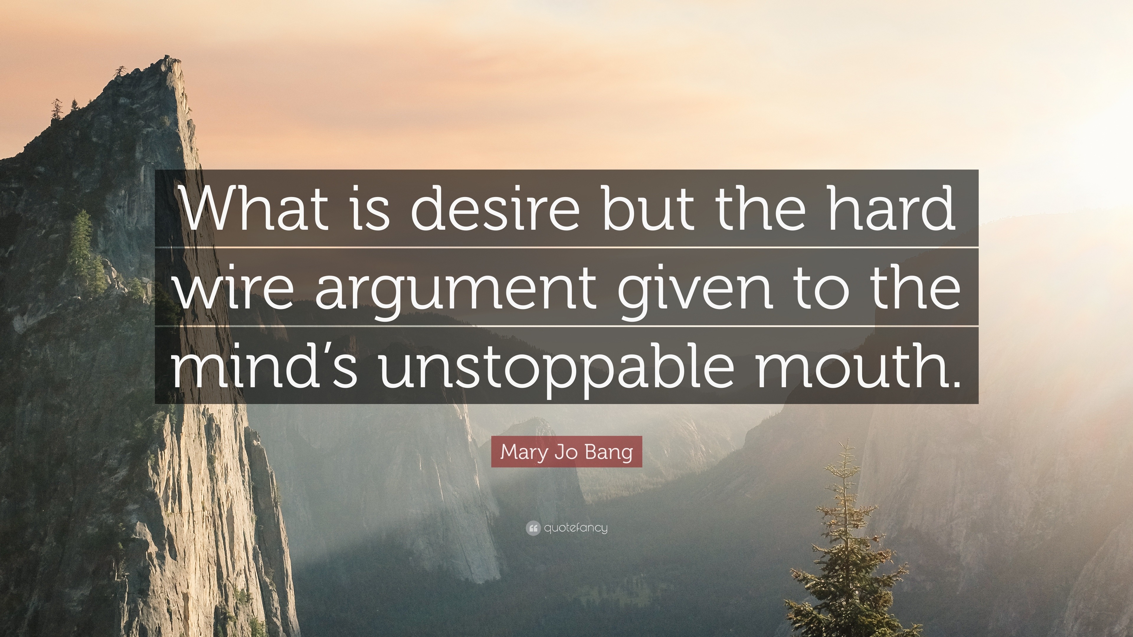 Mary Jo Bang Quote: “What is desire but the hard wire argument given to ...
