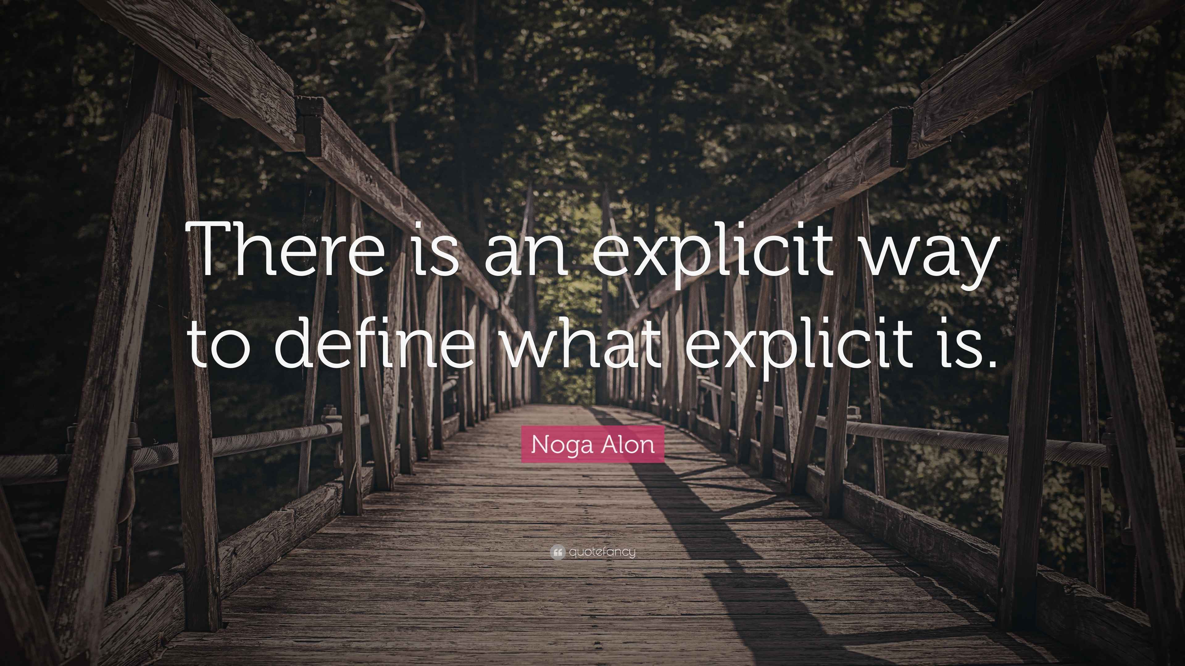Noga Alon Quote: “There is an explicit way to define what explicit is.”
