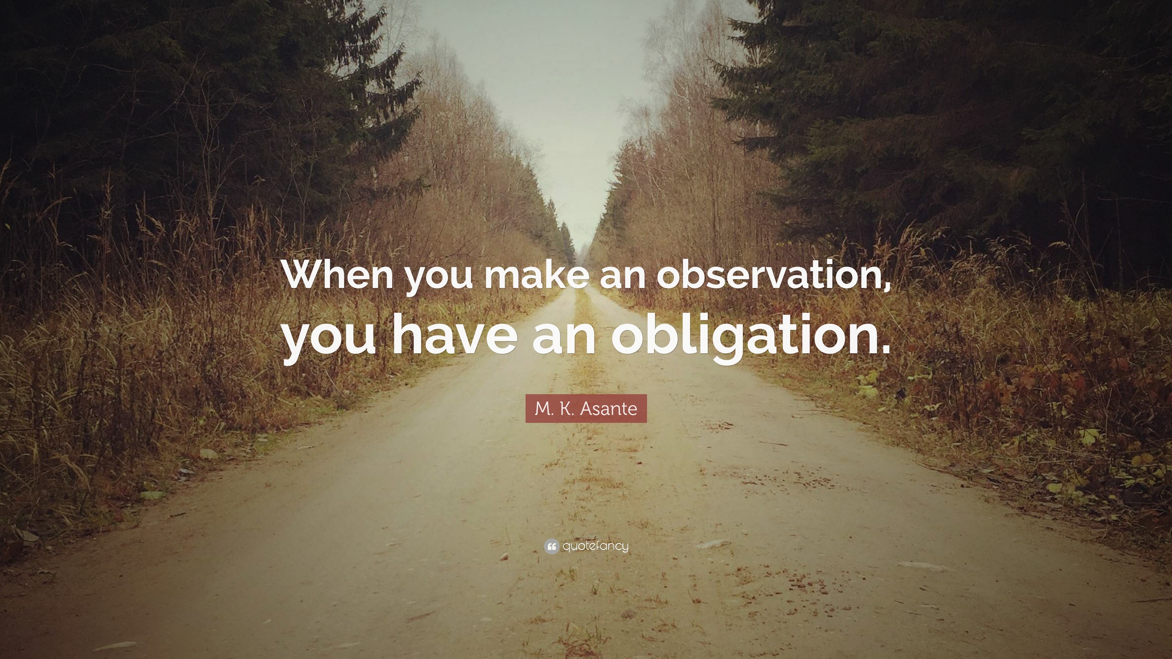 M. K. Asante Quote: “When you make an observation, you have an obligation.”