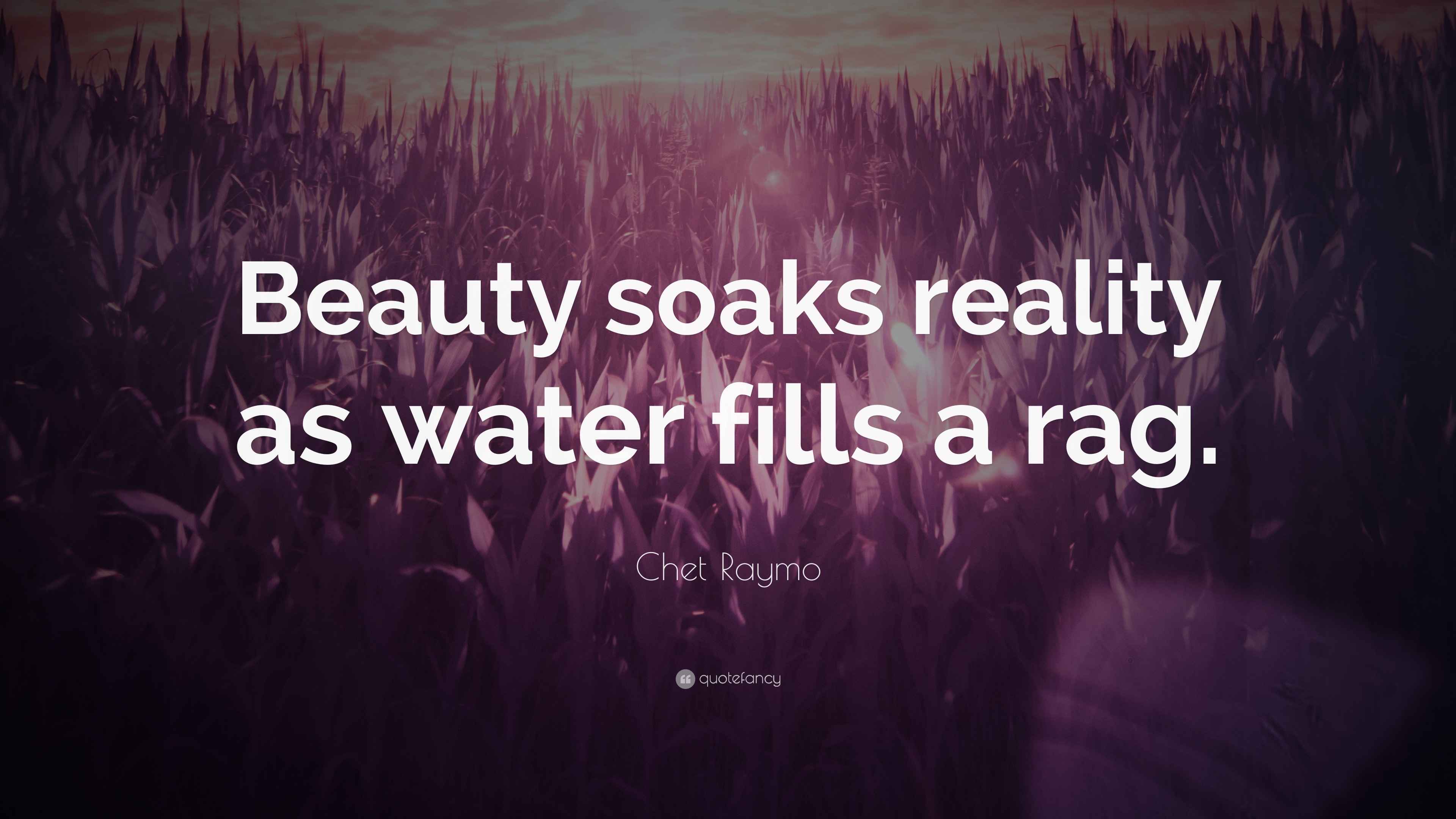 Chet Raymo Quote: “Beauty soaks reality as water fills a rag.”