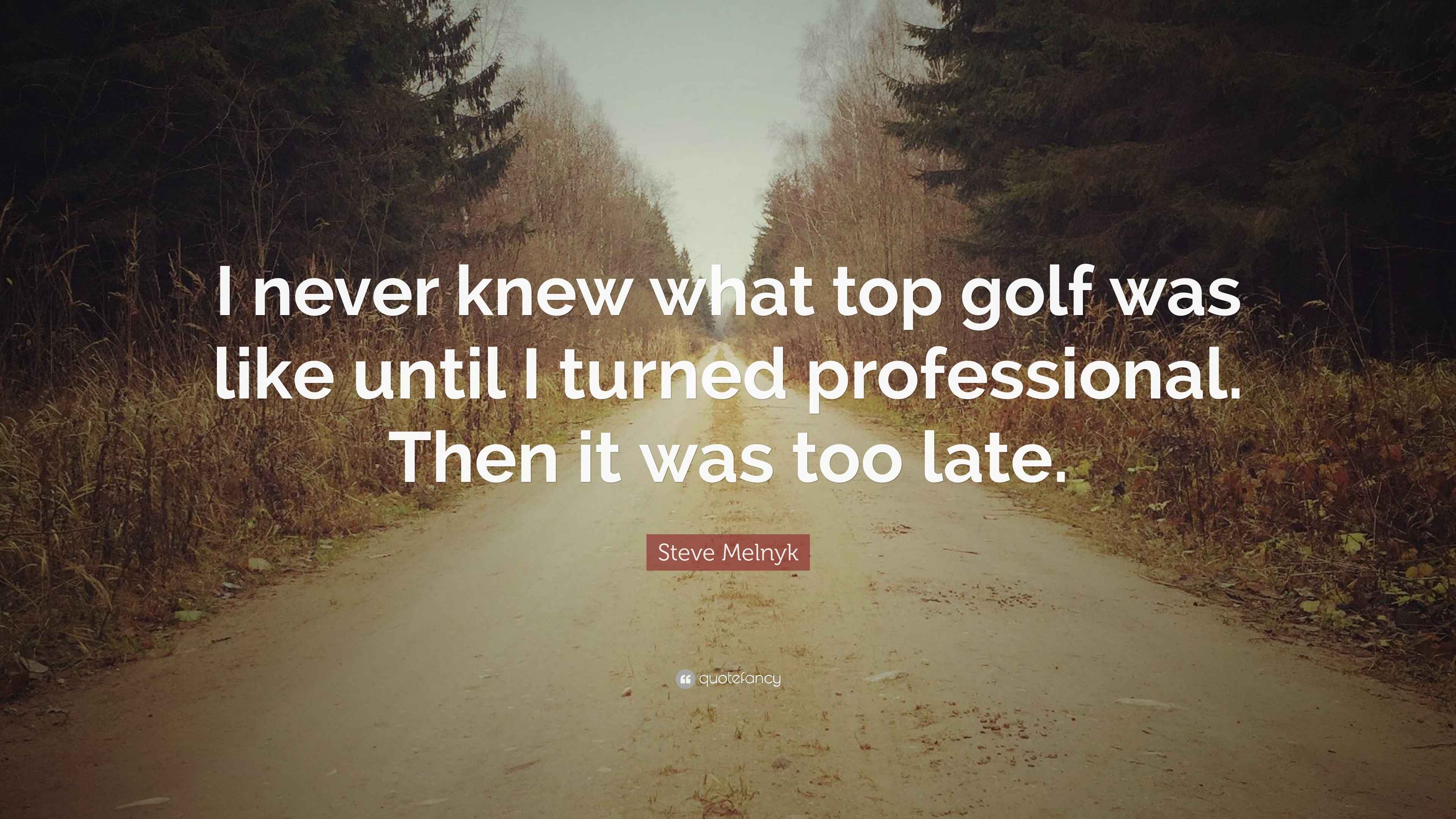 Steve Melnyk Quote: “I never knew what top golf was like until I turned ...