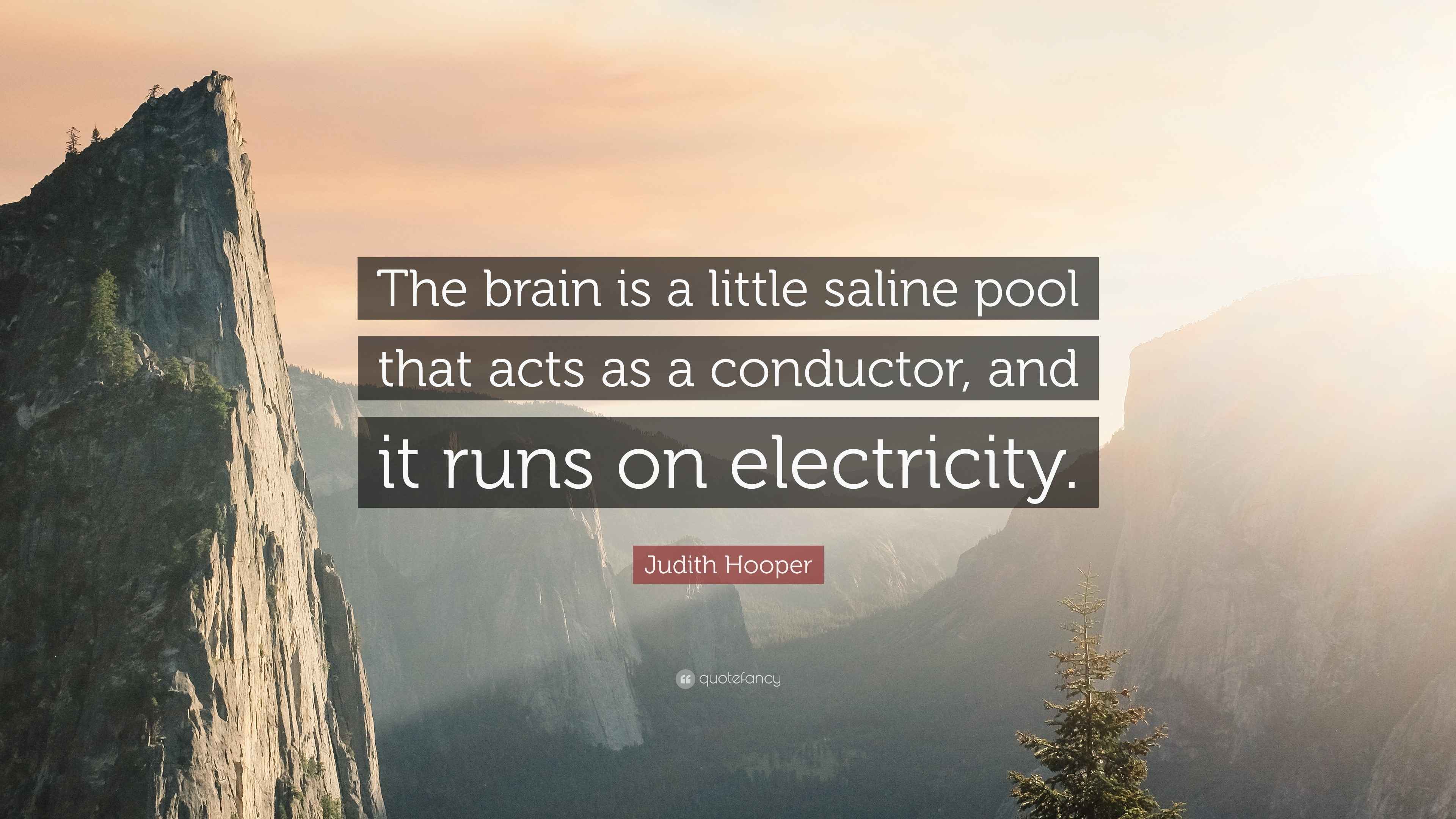 Judith Hooper Quote: “The brain is a little saline pool that acts as a ...
