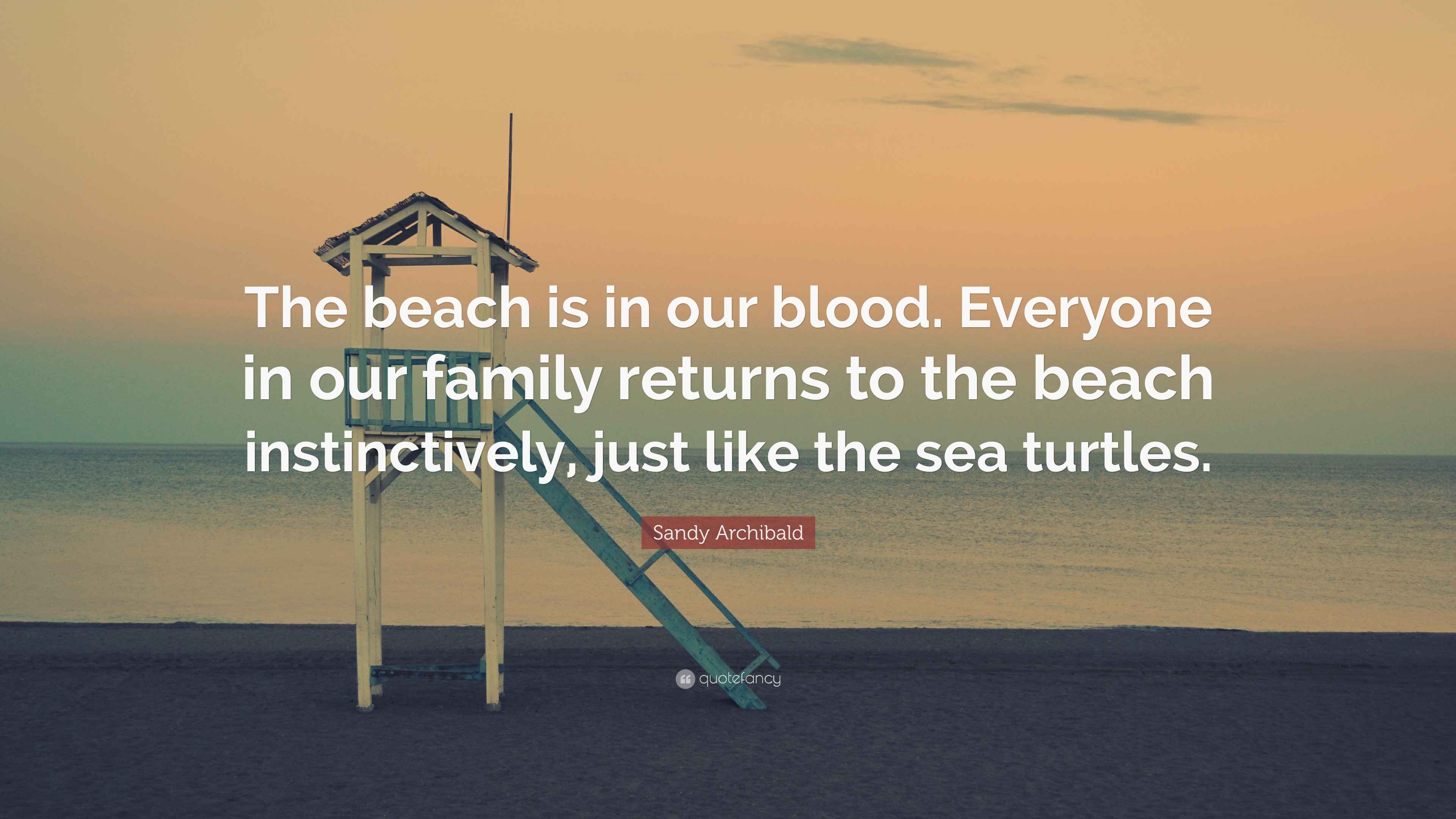 Sandy Archibald Quote: “The beach is in our blood. Everyone in our ...