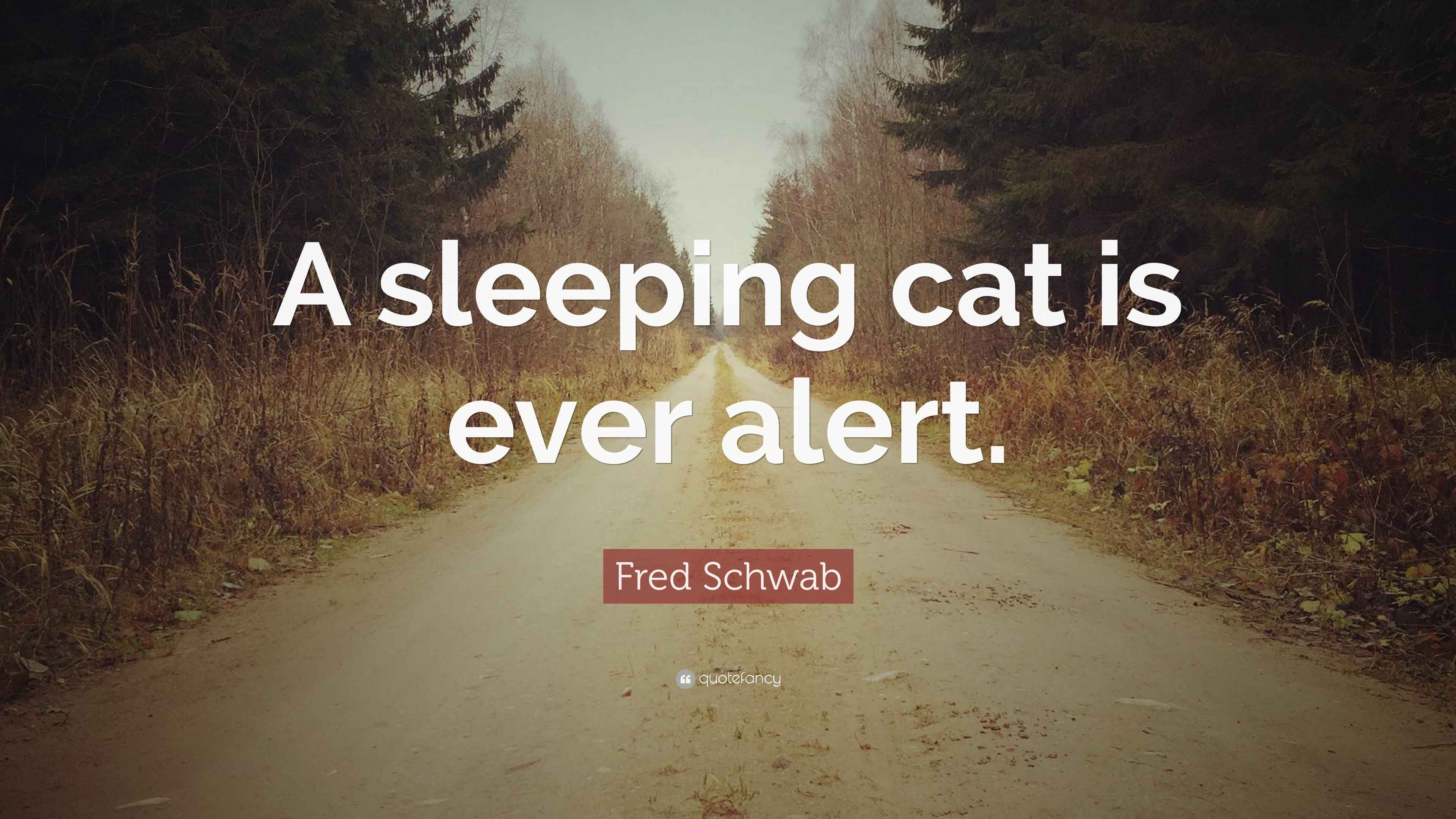Fred Schwab Quote: “A sleeping cat is ever alert.”
