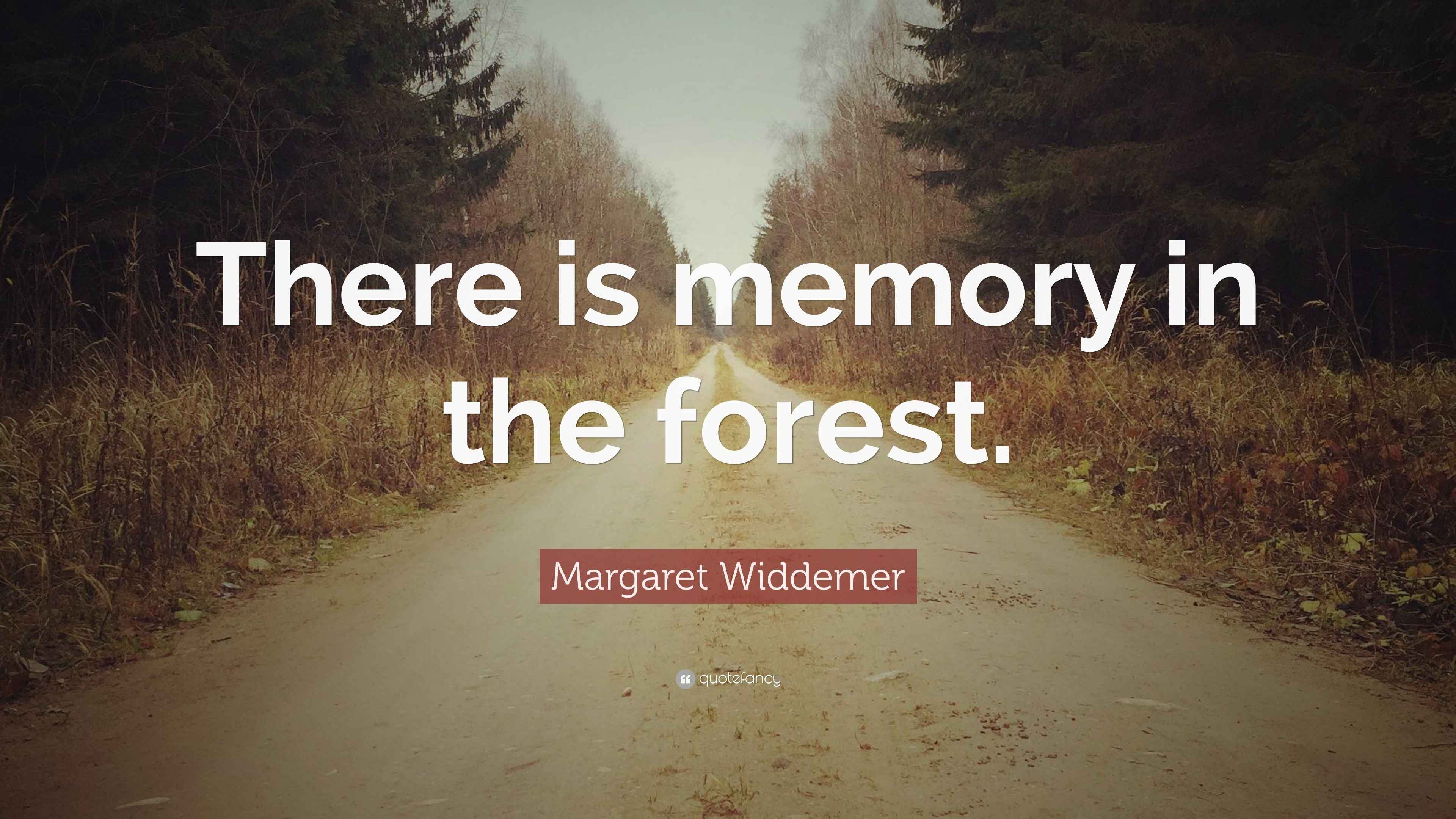 Margaret Widdemer Quote: “There is memory in the forest.”