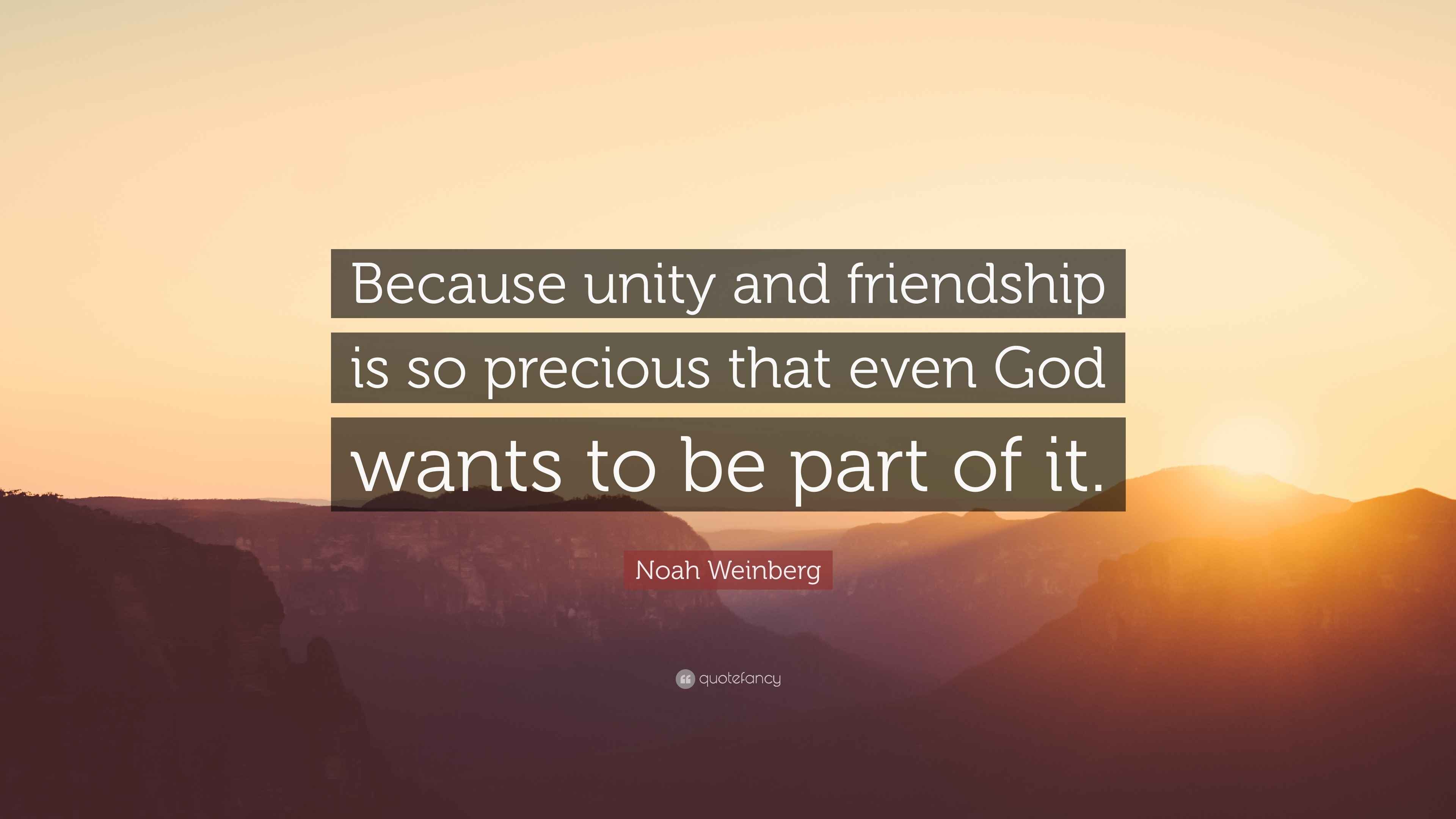 Unity Friendship Quotes