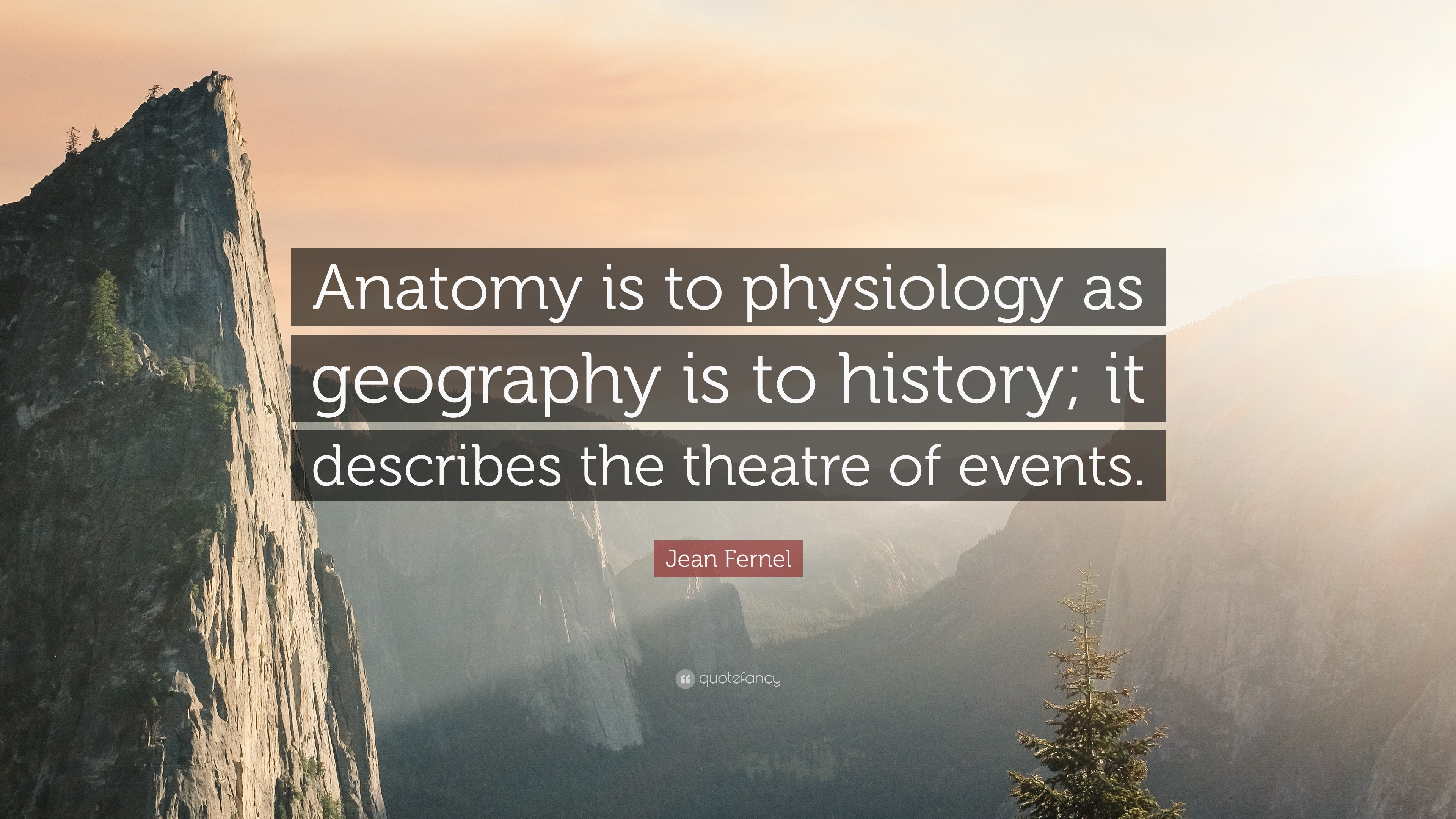 Jean Fernel Quote: “Anatomy is to physiology as geography is to history ...