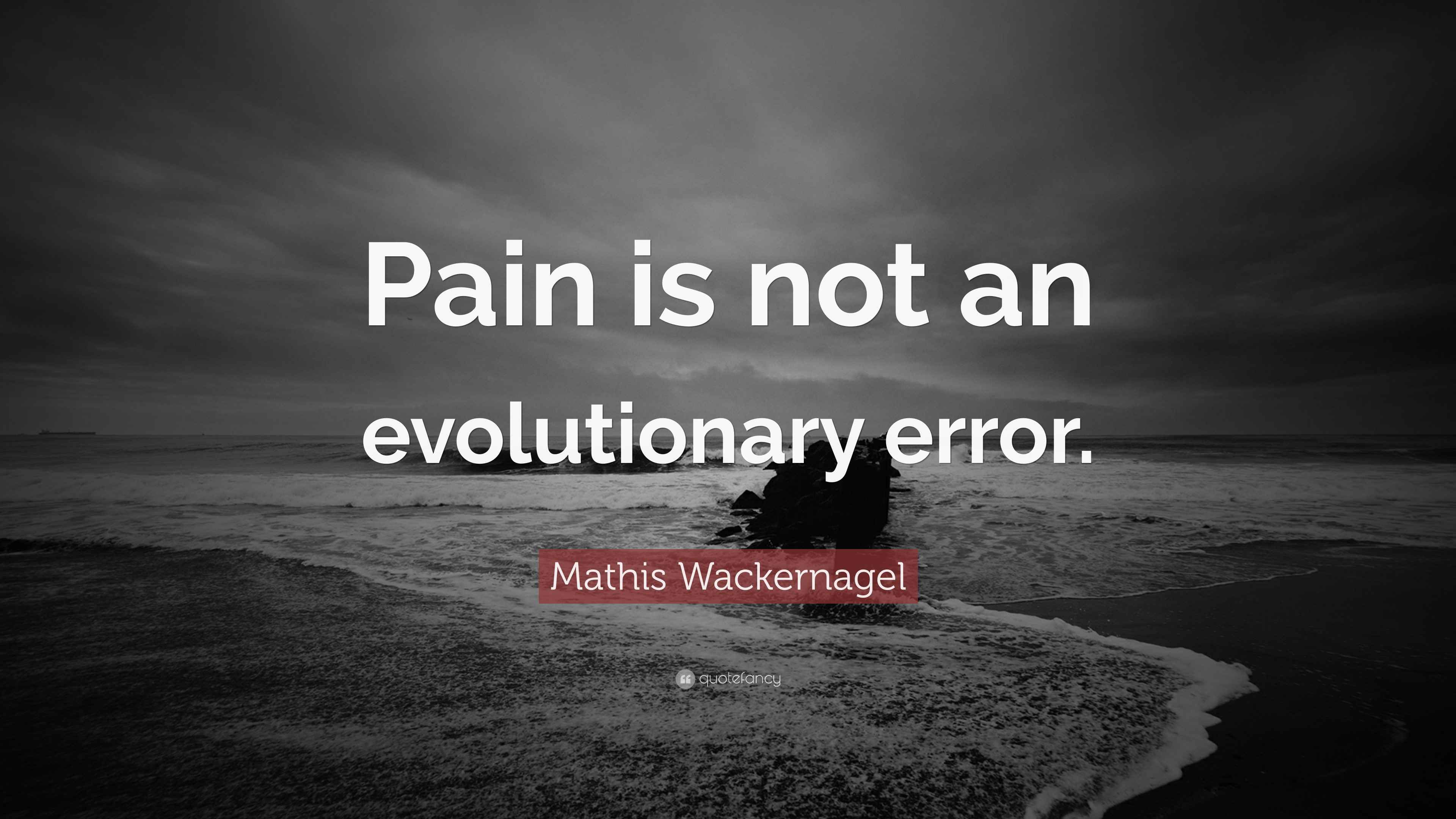Mathis Wackernagel Quote: “Pain is not an evolutionary error.”