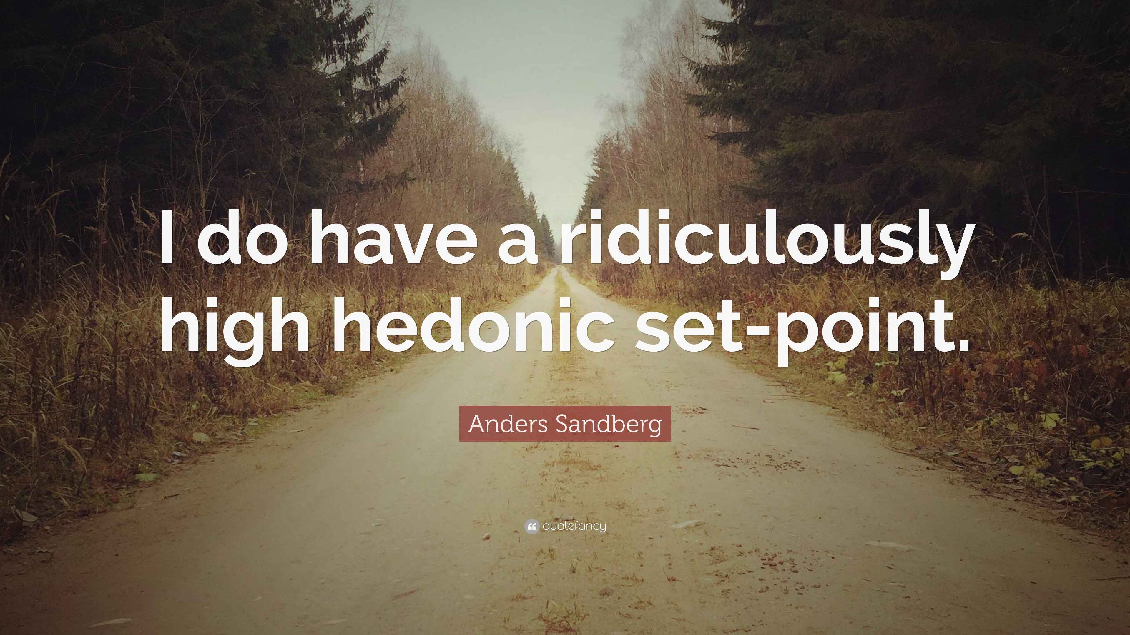 Anders Sandberg Quote: “I do have a ridiculously high hedonic set-point.”