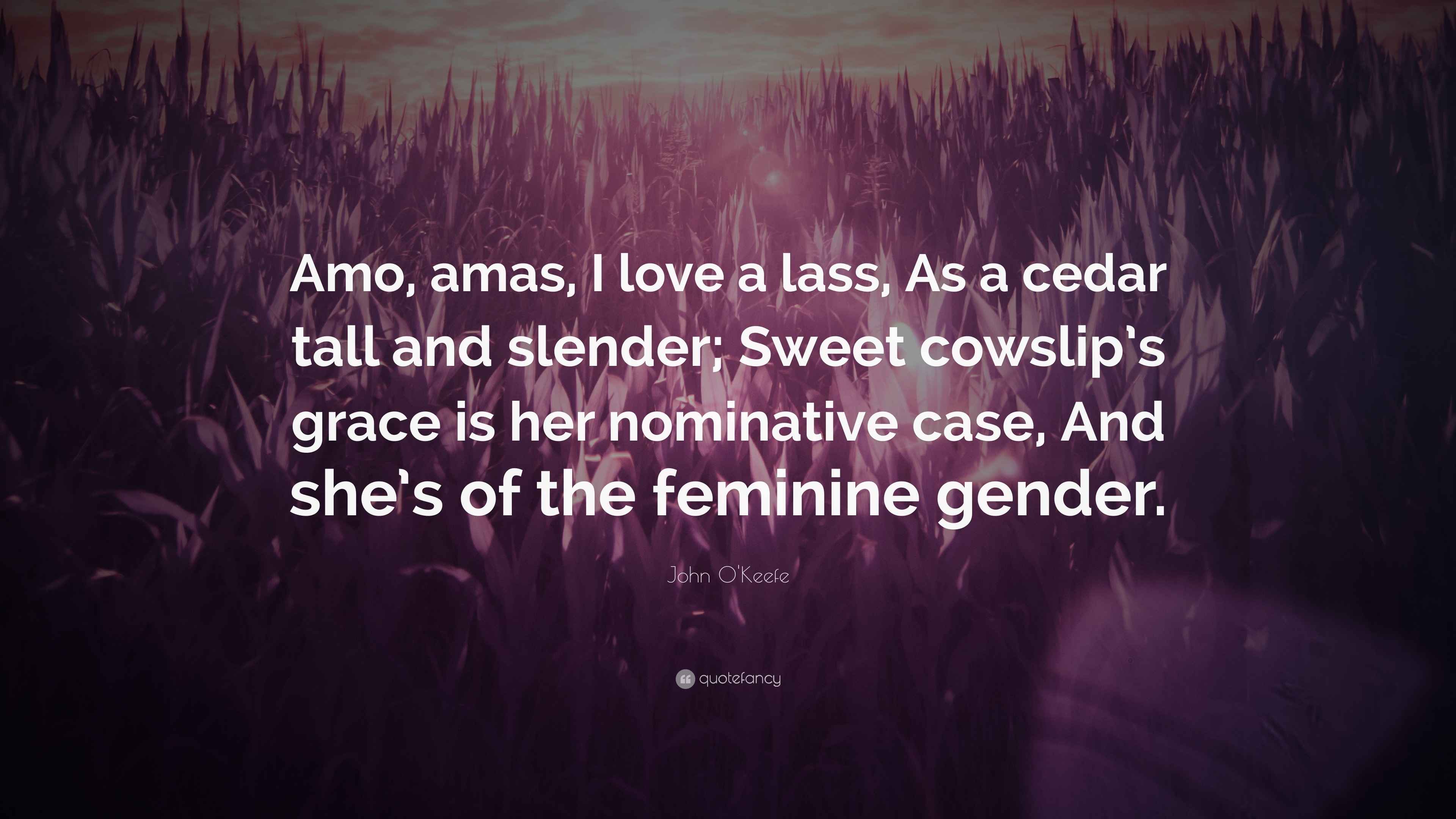 John O'Keefe Quote: “Amo, amas, I love a lass, As a cedar tall and ...