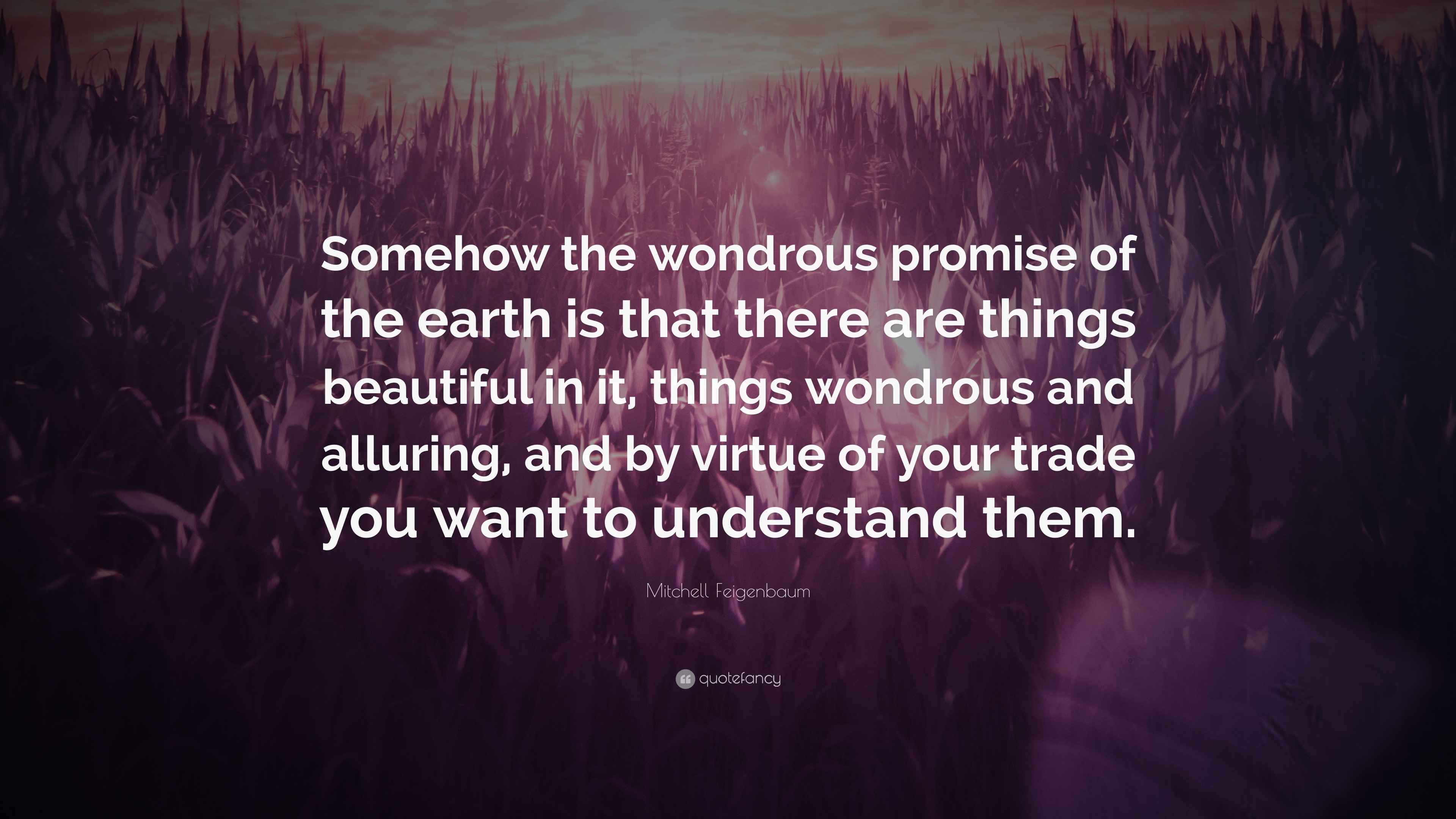 Mitchell Feigenbaum Quote: “Somehow the wondrous promise of the earth ...