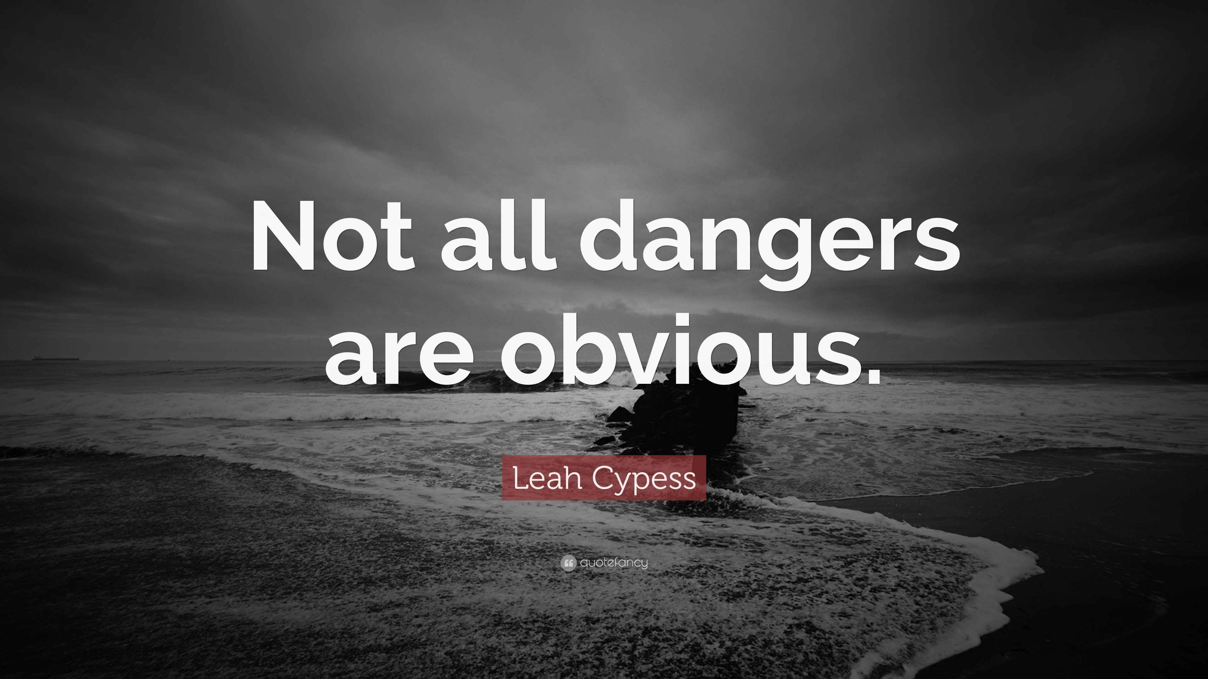 Leah Cypess Quote: “Not all dangers are obvious.”