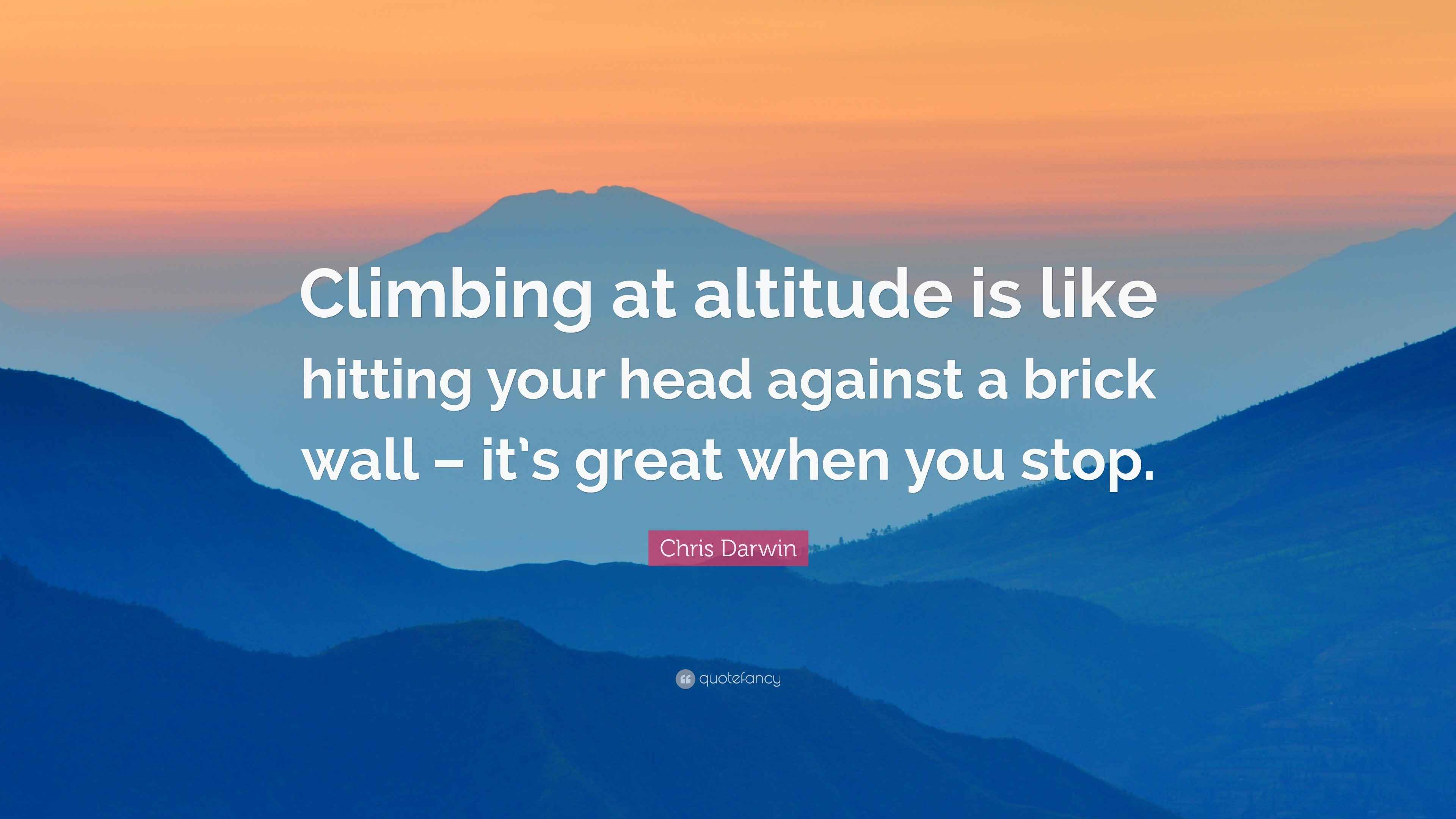 Chris Darwin Quote: “Climbing at altitude is like hitting your head ...
