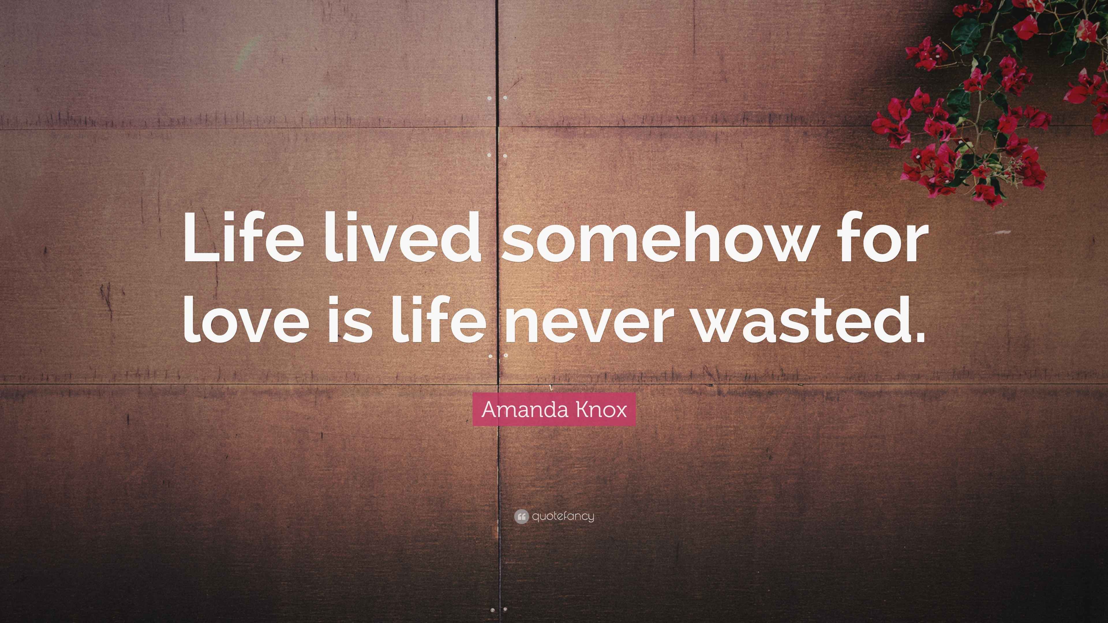 Amanda Knox Quote: “Life lived somehow for love is life never wasted.”