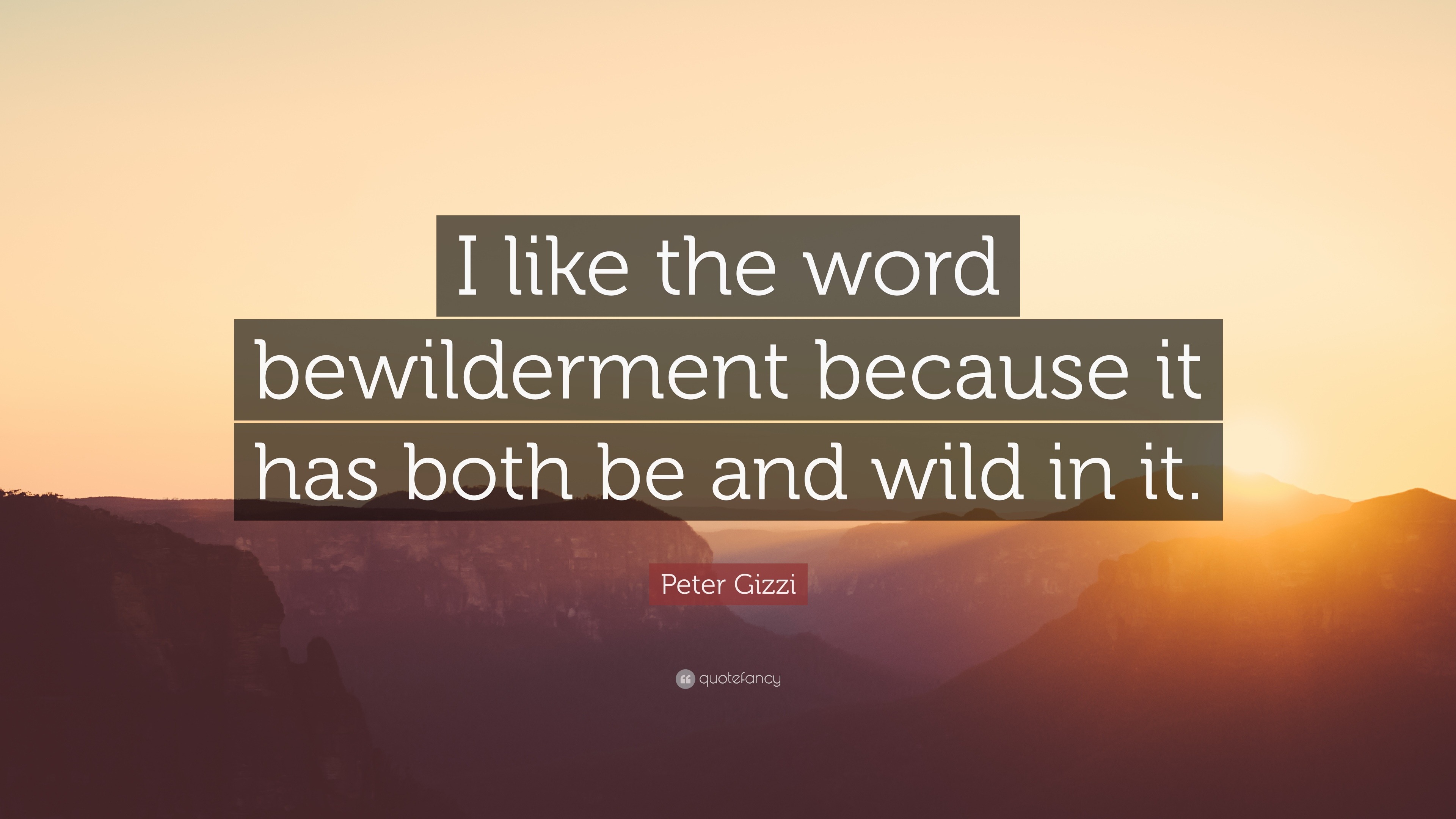 Peter Gizzi Quote: “I like the word bewilderment because it has both be ...