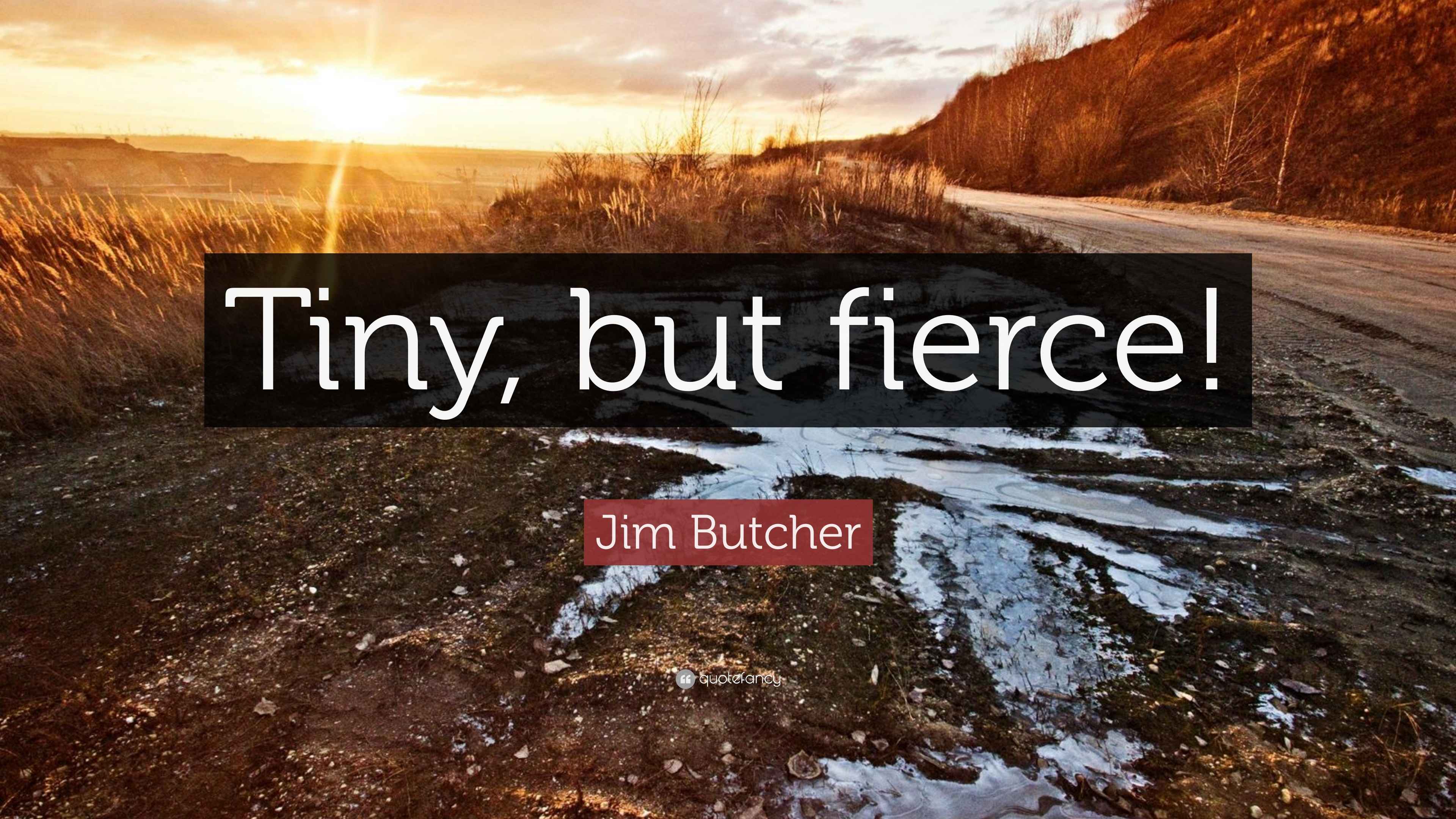 Jim Butcher Quote: “Tiny, but fierce!”