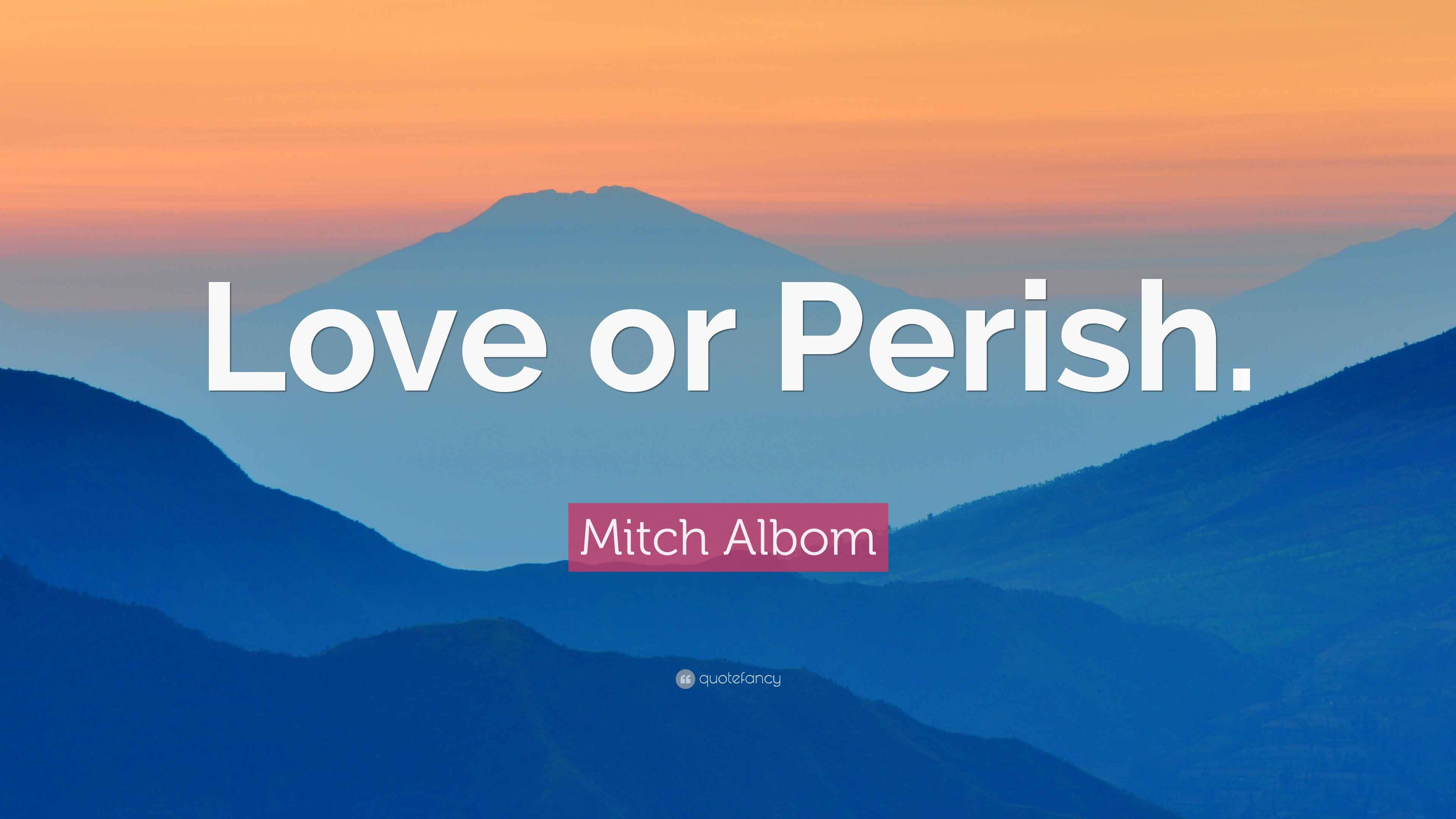 Mitch Albom Quote: “Love or Perish.”