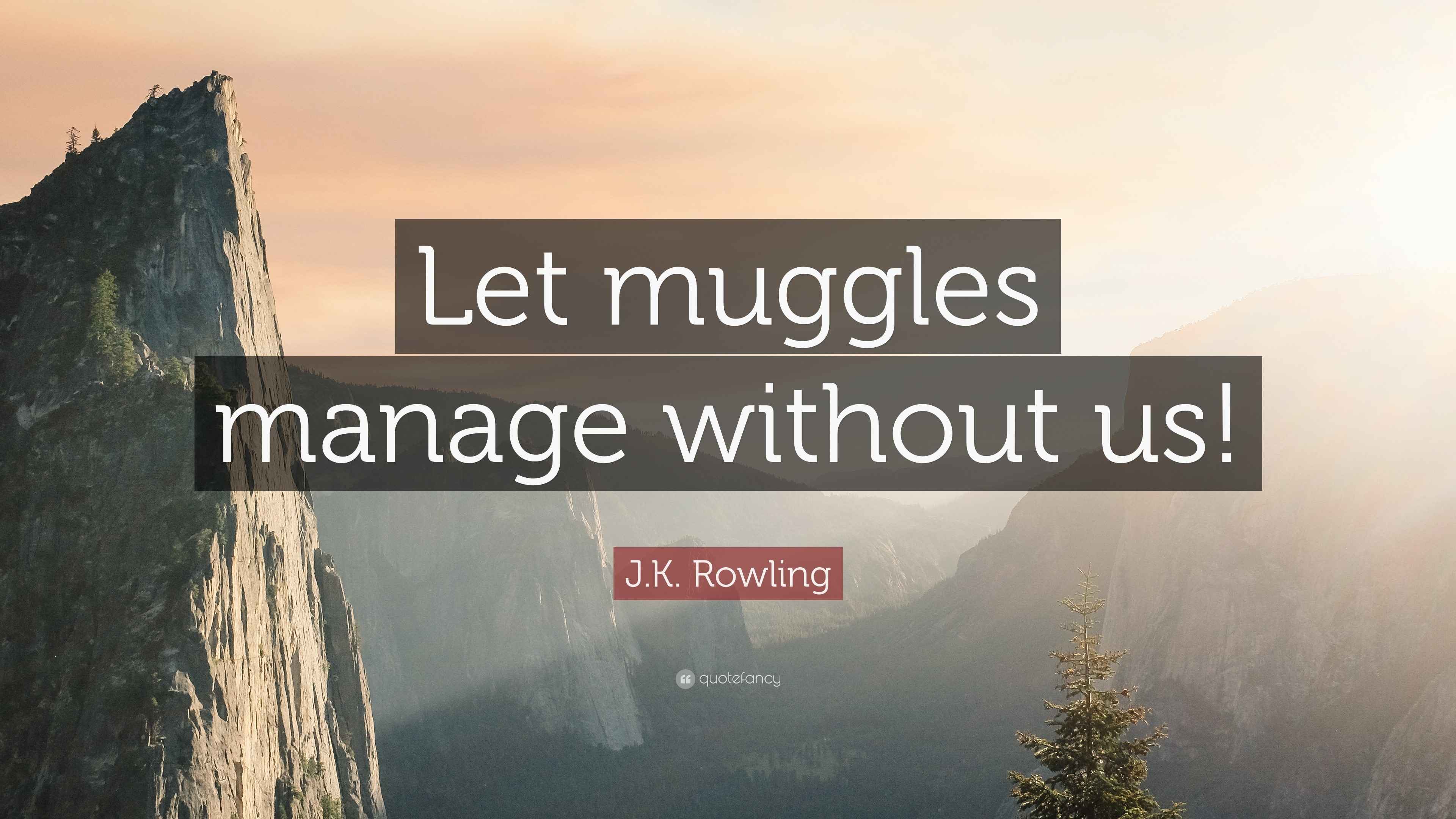 J.K. Rowling Quote: “Let muggles manage without us!”