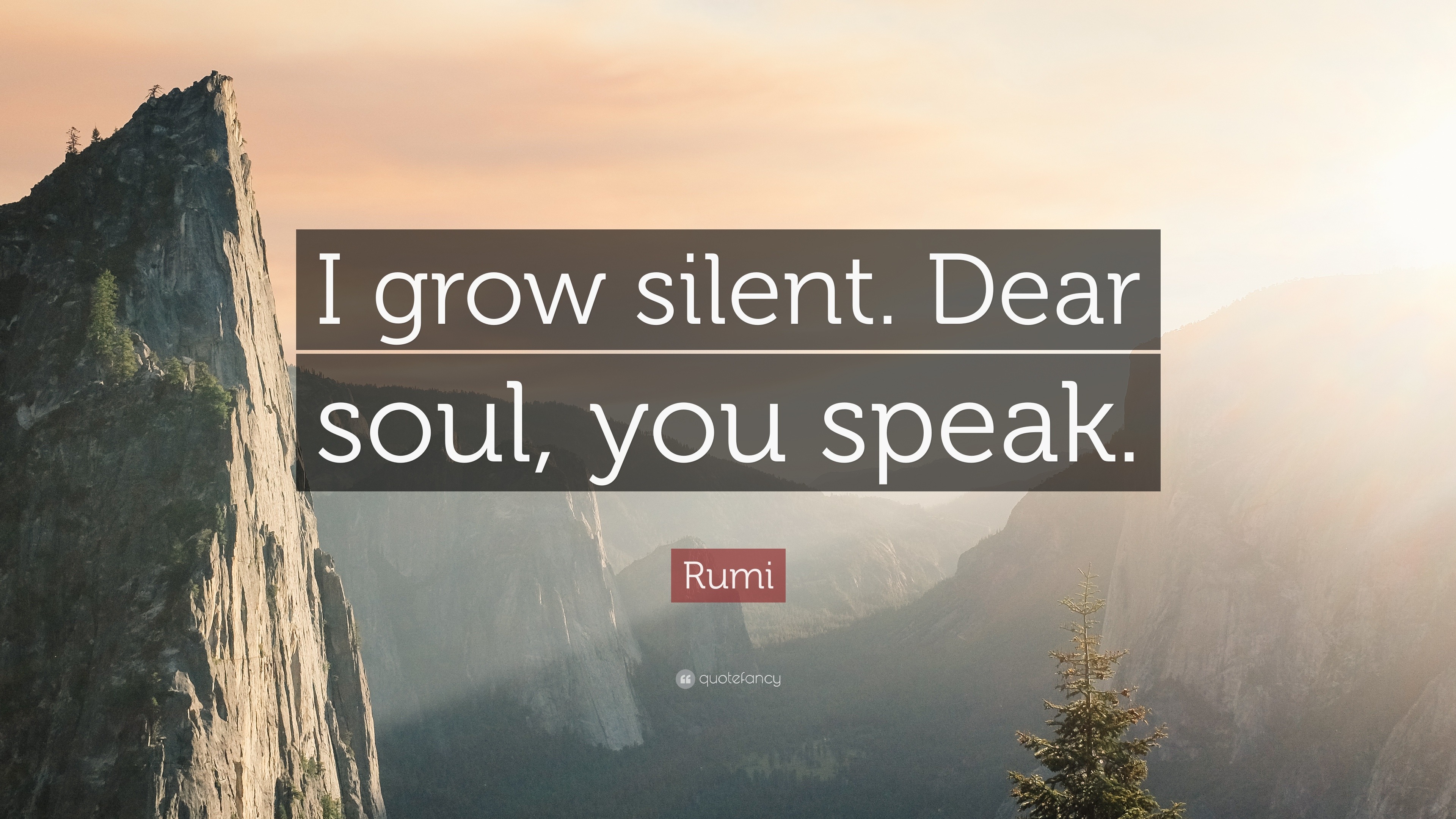 Rumi Quote: “I grow silent. Dear soul, you speak.”