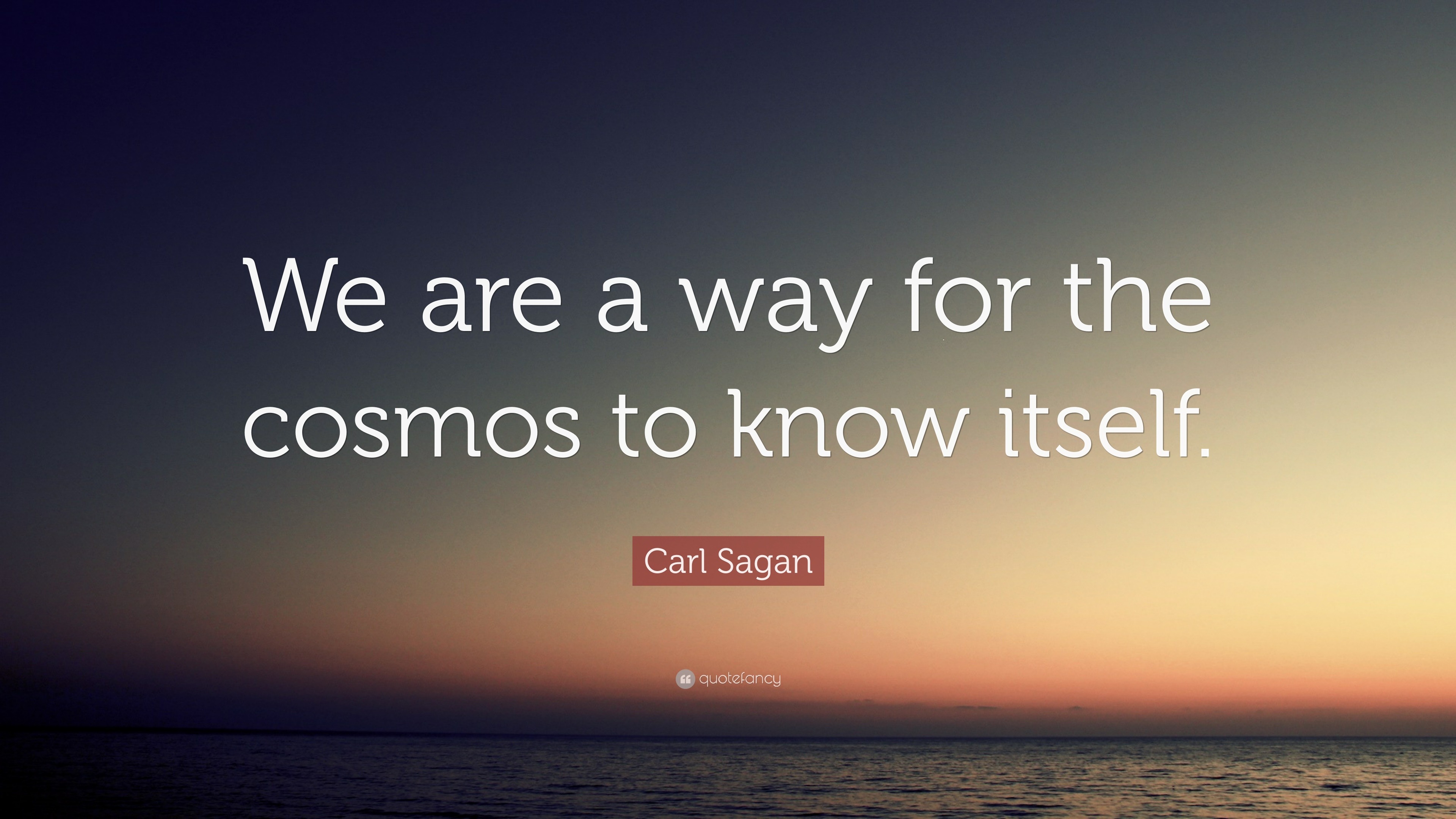Carl Sagan Quote: “We are a way for the cosmos to know itself.”