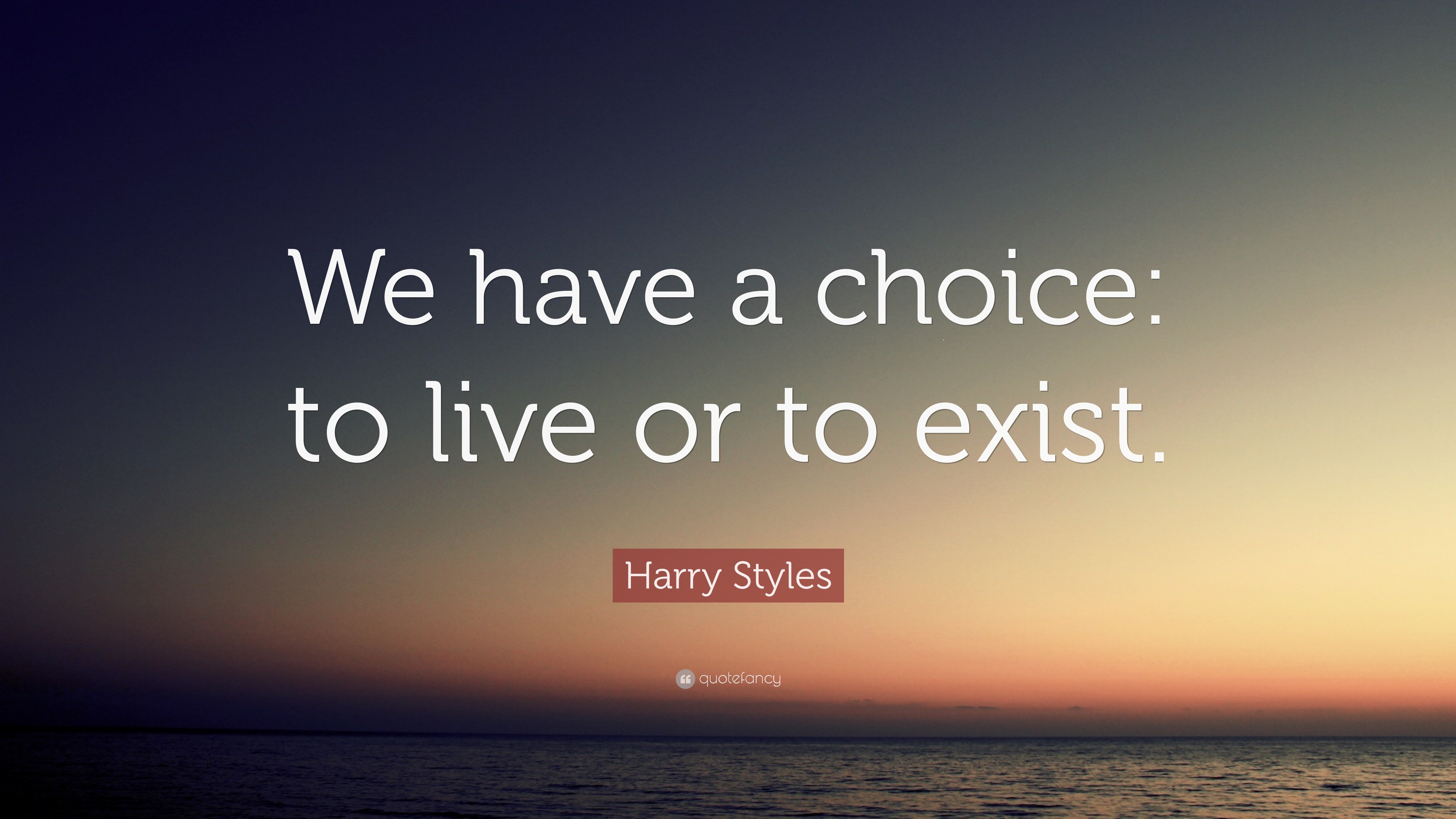 Harry Styles Quote: “We have a choice: to live or to exist.”