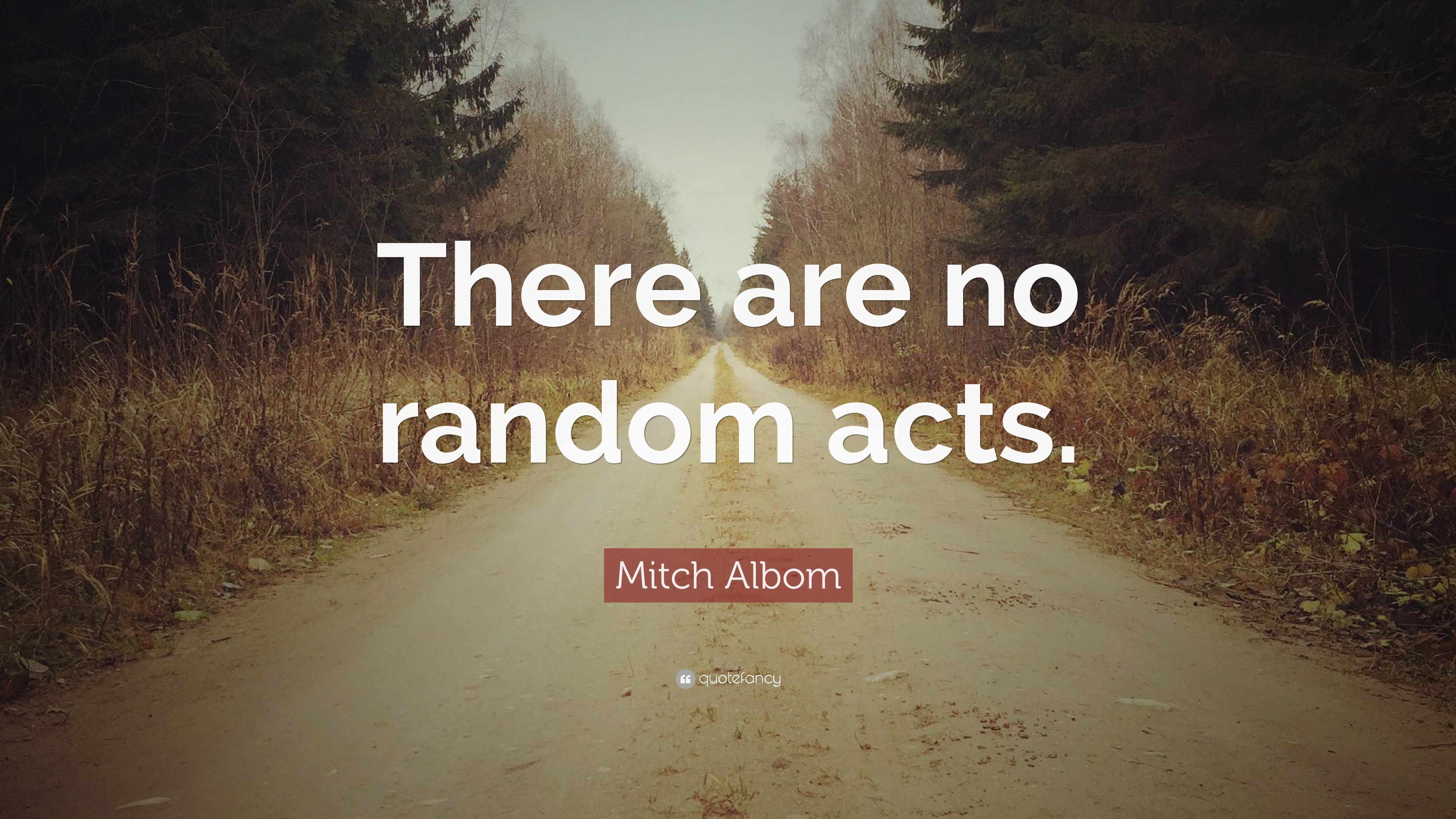 Mitch Albom Quote: “There are no random acts.”
