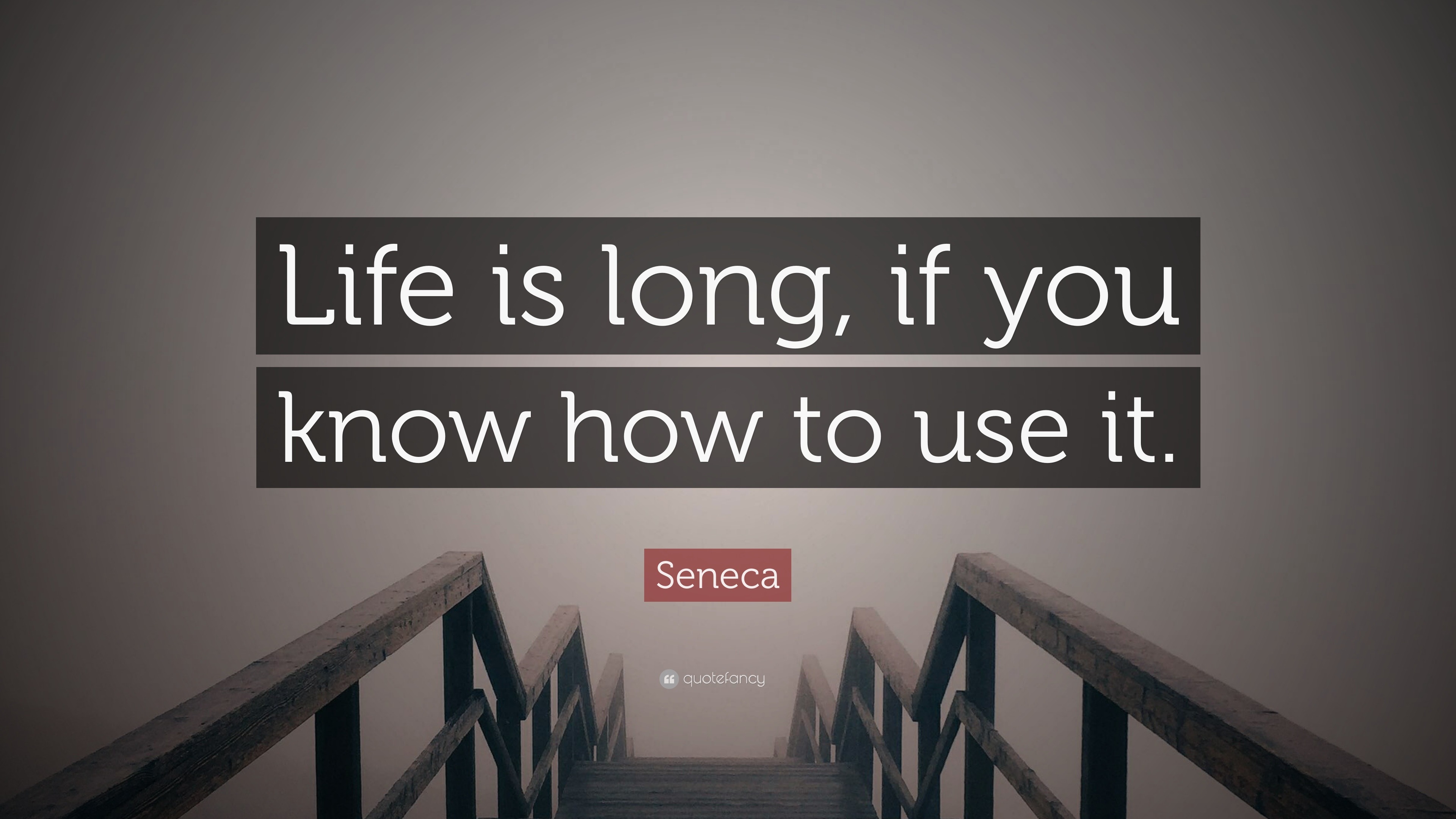 Seneca Quote: “Life is long, if you know how to use it.”