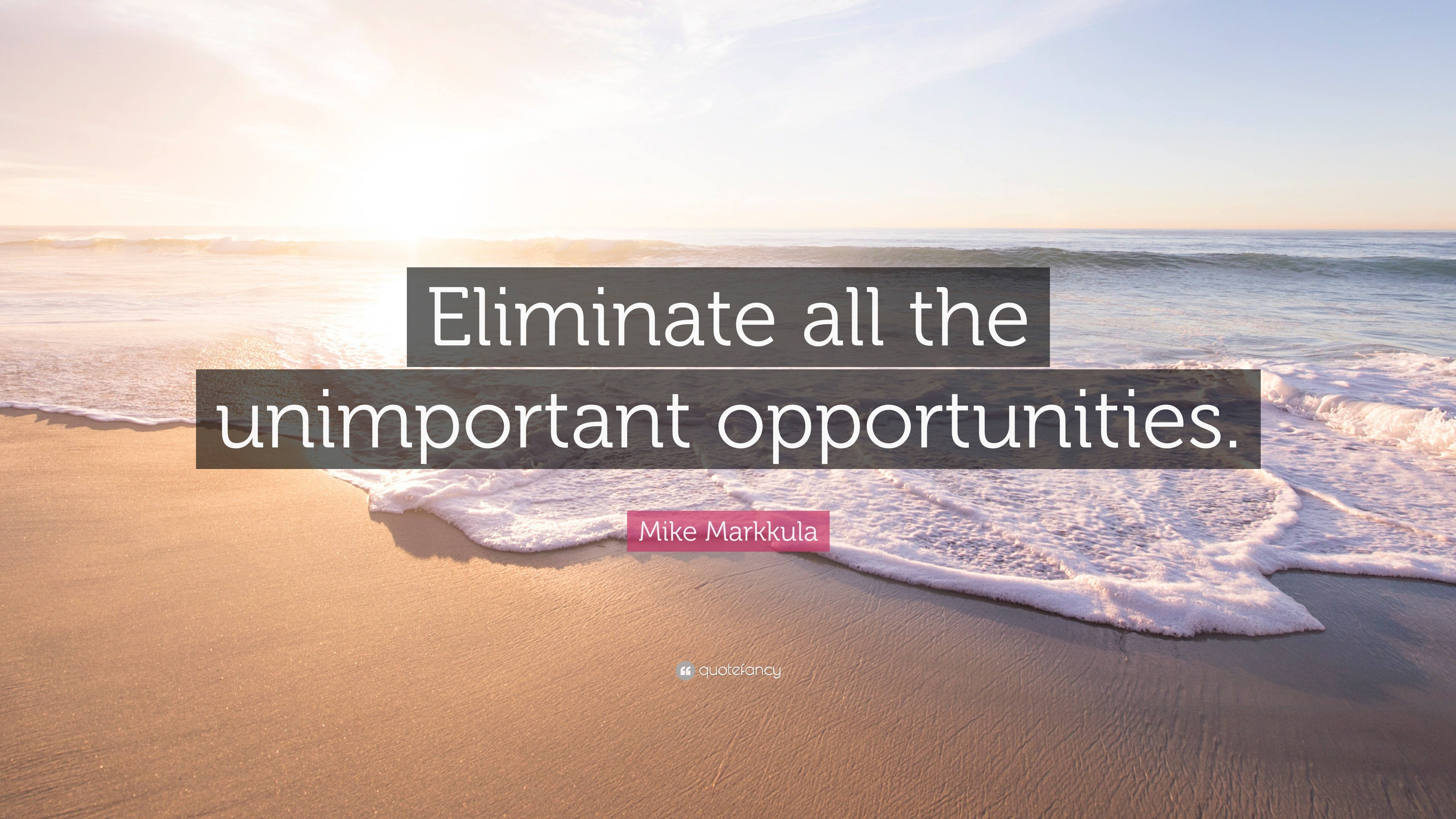 Mike Markkula Quote: “Eliminate all the unimportant opportunities.”