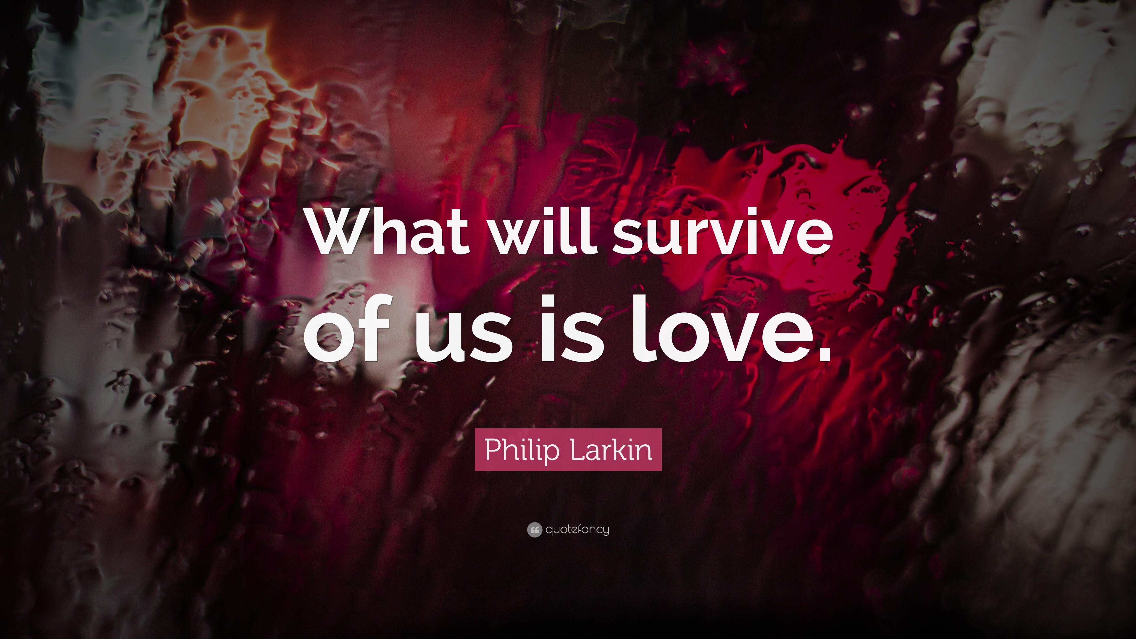 Philip Larkin Quote: “What will survive of us is love.”